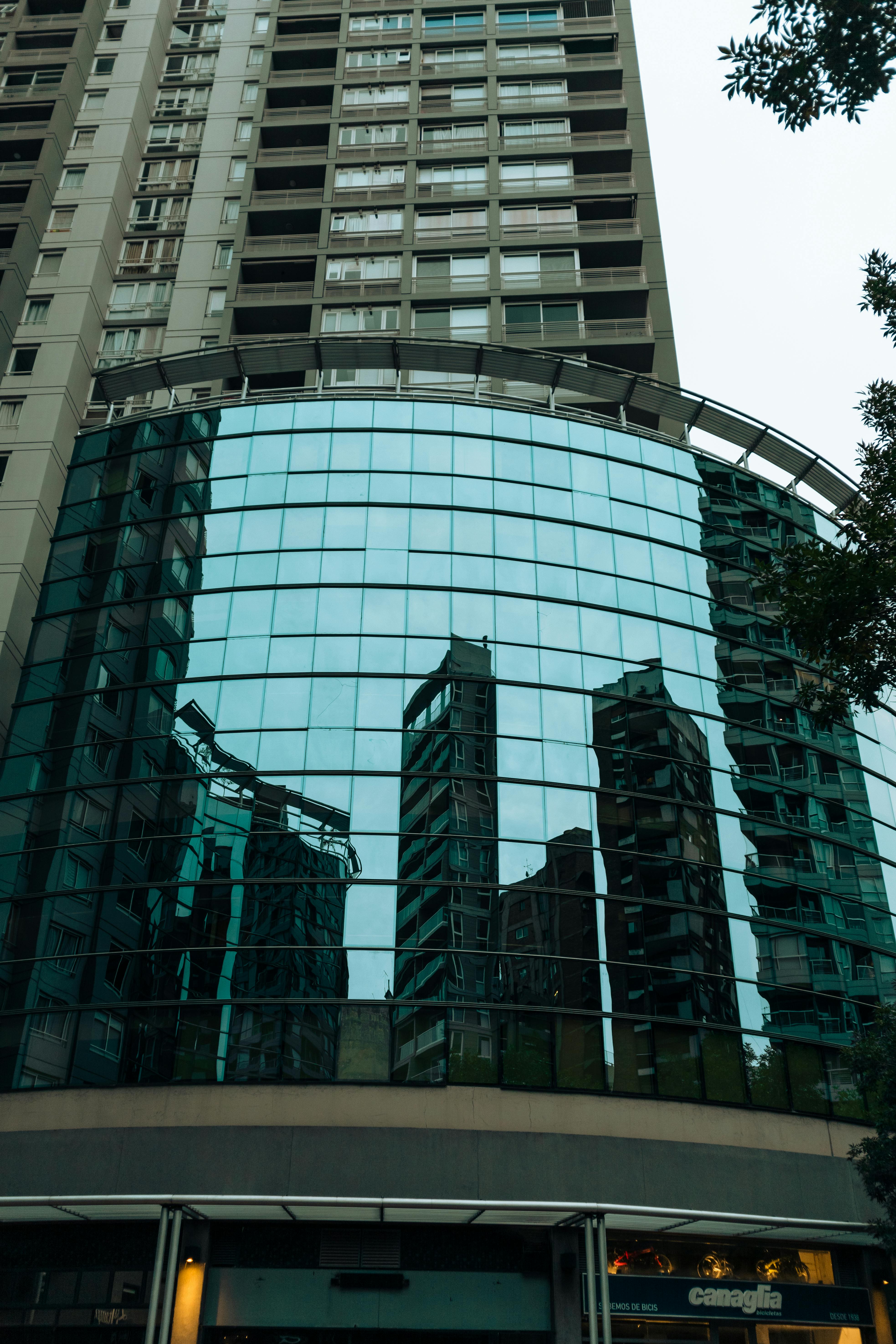 Reflection in Glass Window · Free Stock Photo