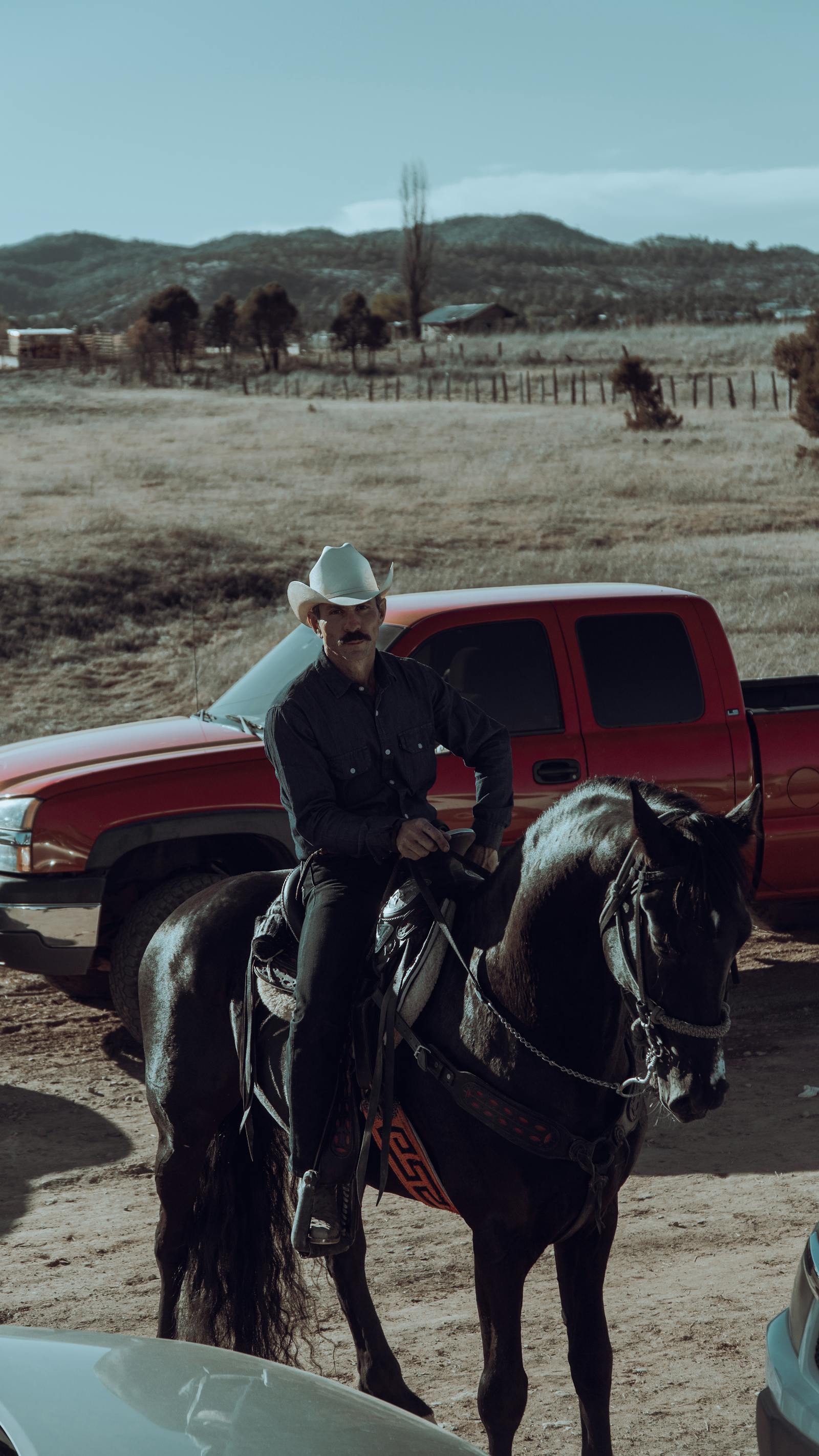 Horse And Car Photos, Download The BEST Free Horse And Car Stock Photos ...
