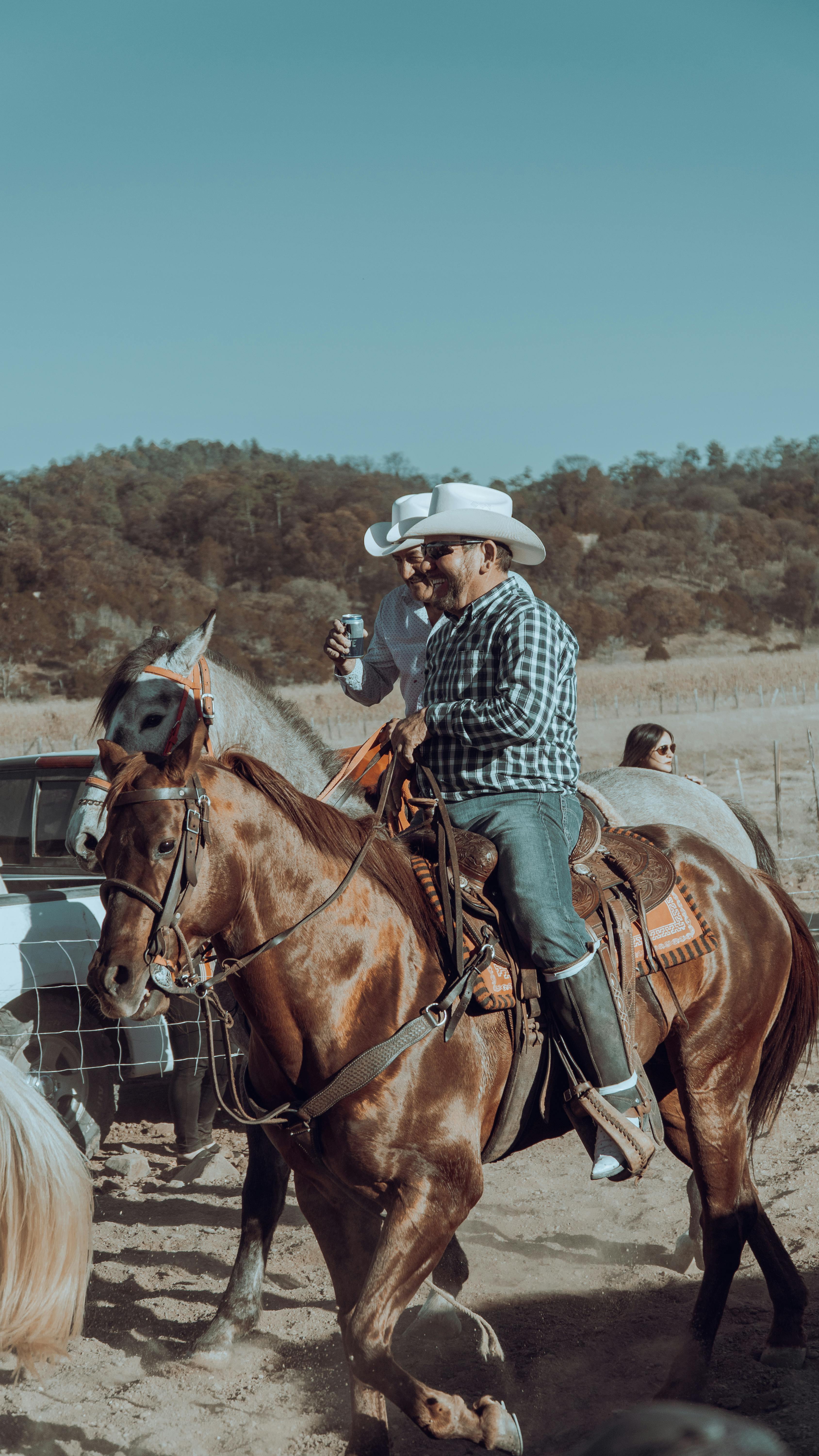 Cowboy on Horse · Free Stock Photo