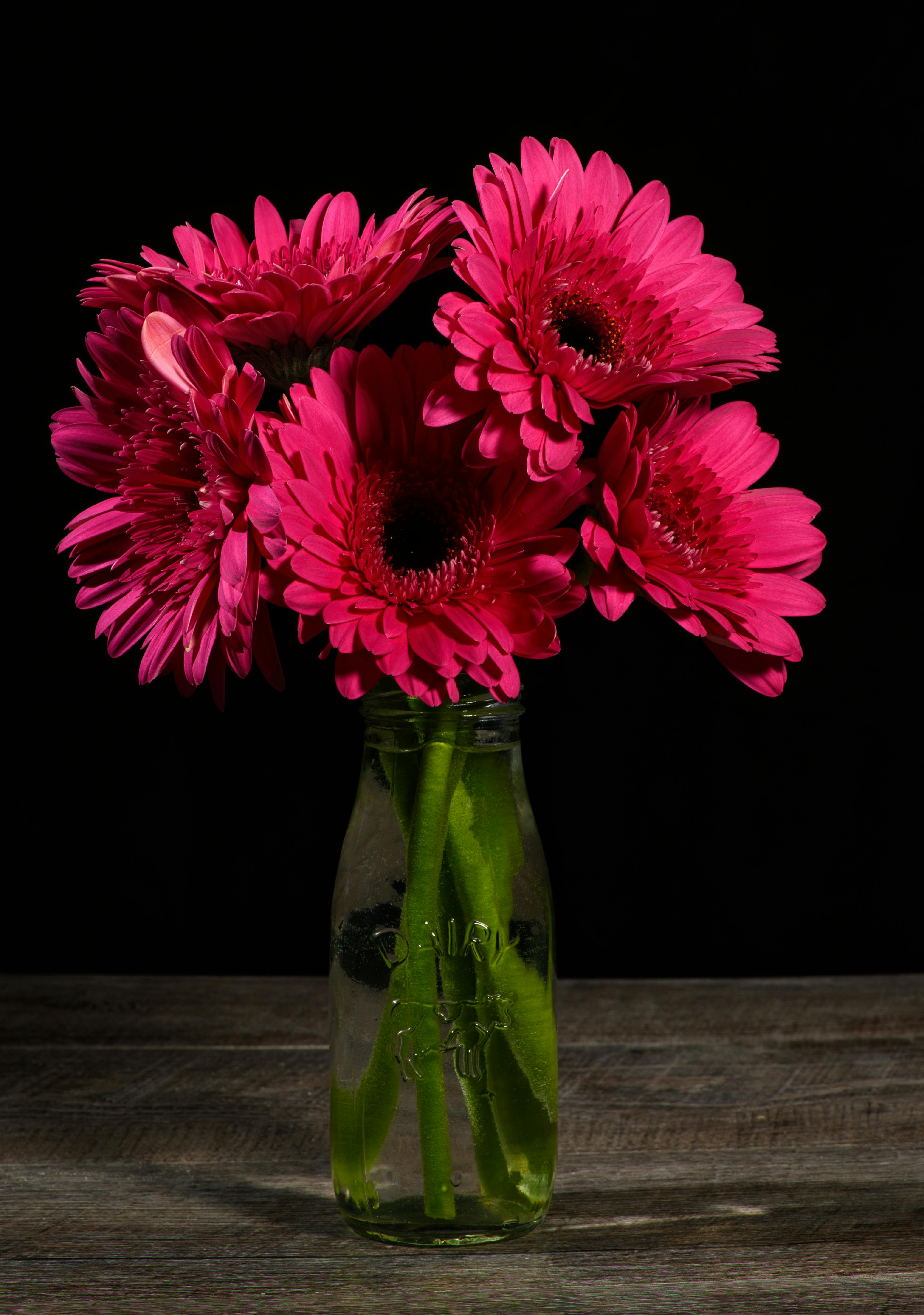 Flowers In A Vase Photos, Download The BEST Free Flowers In A Vase ...
