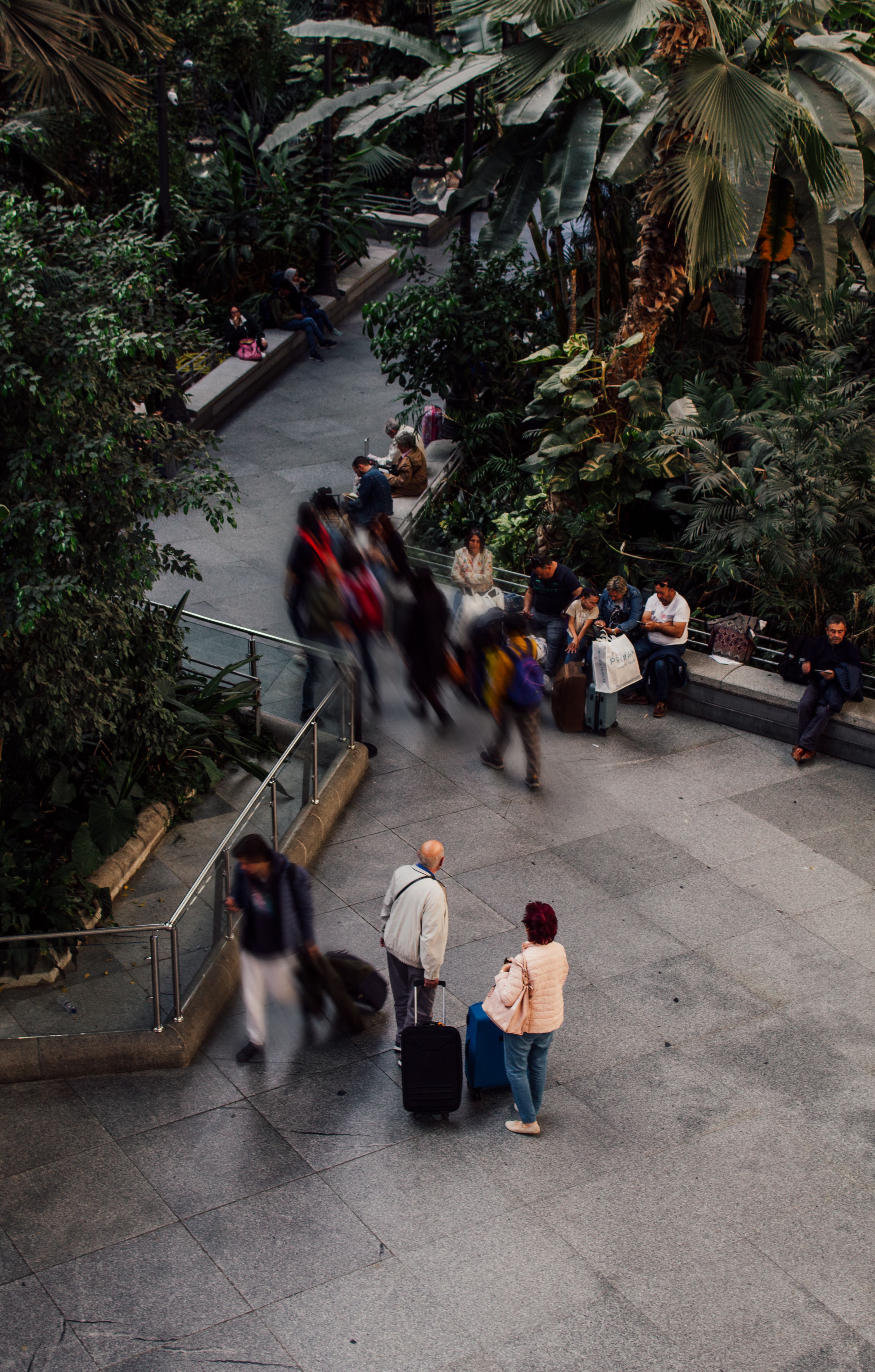 People in Botanical Garden · Free Stock Photo