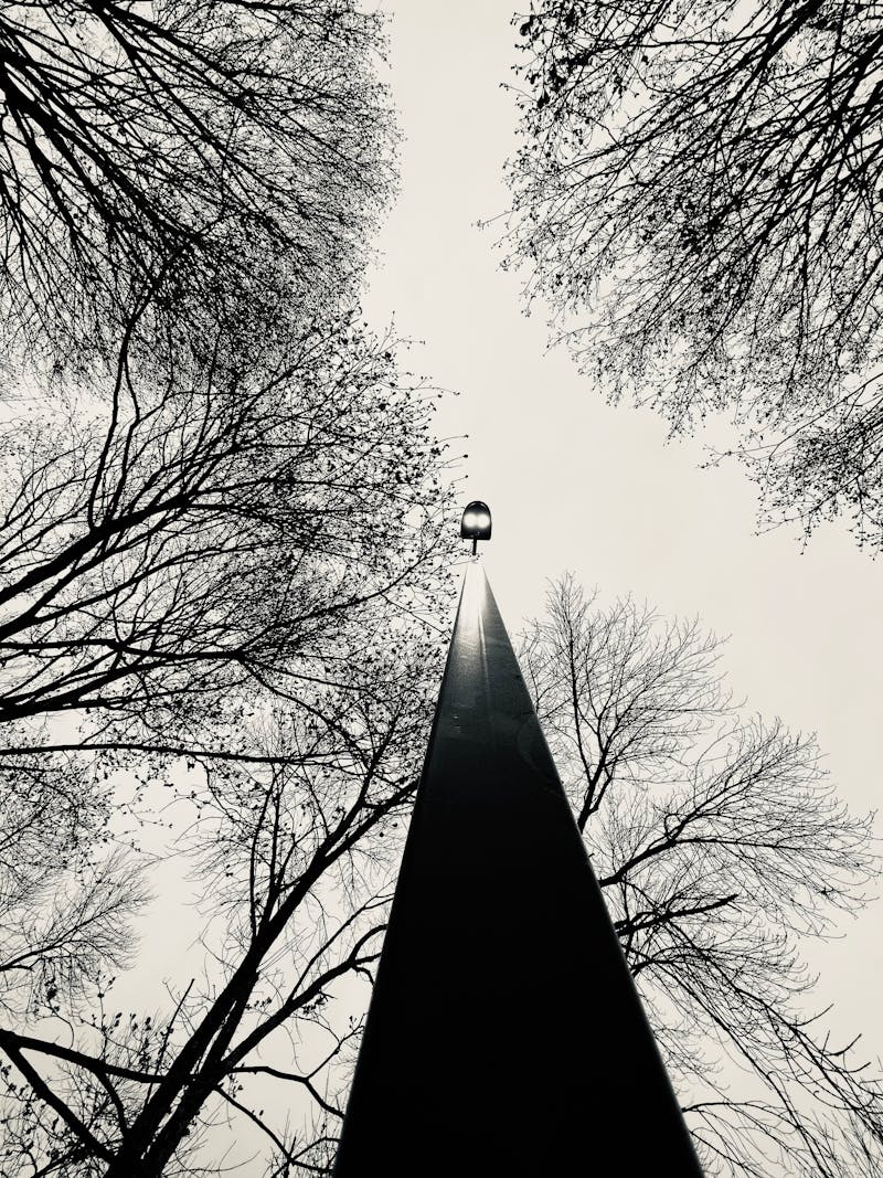 Black And White Firewatch Tower Photos, Download The BEST Free Black ...