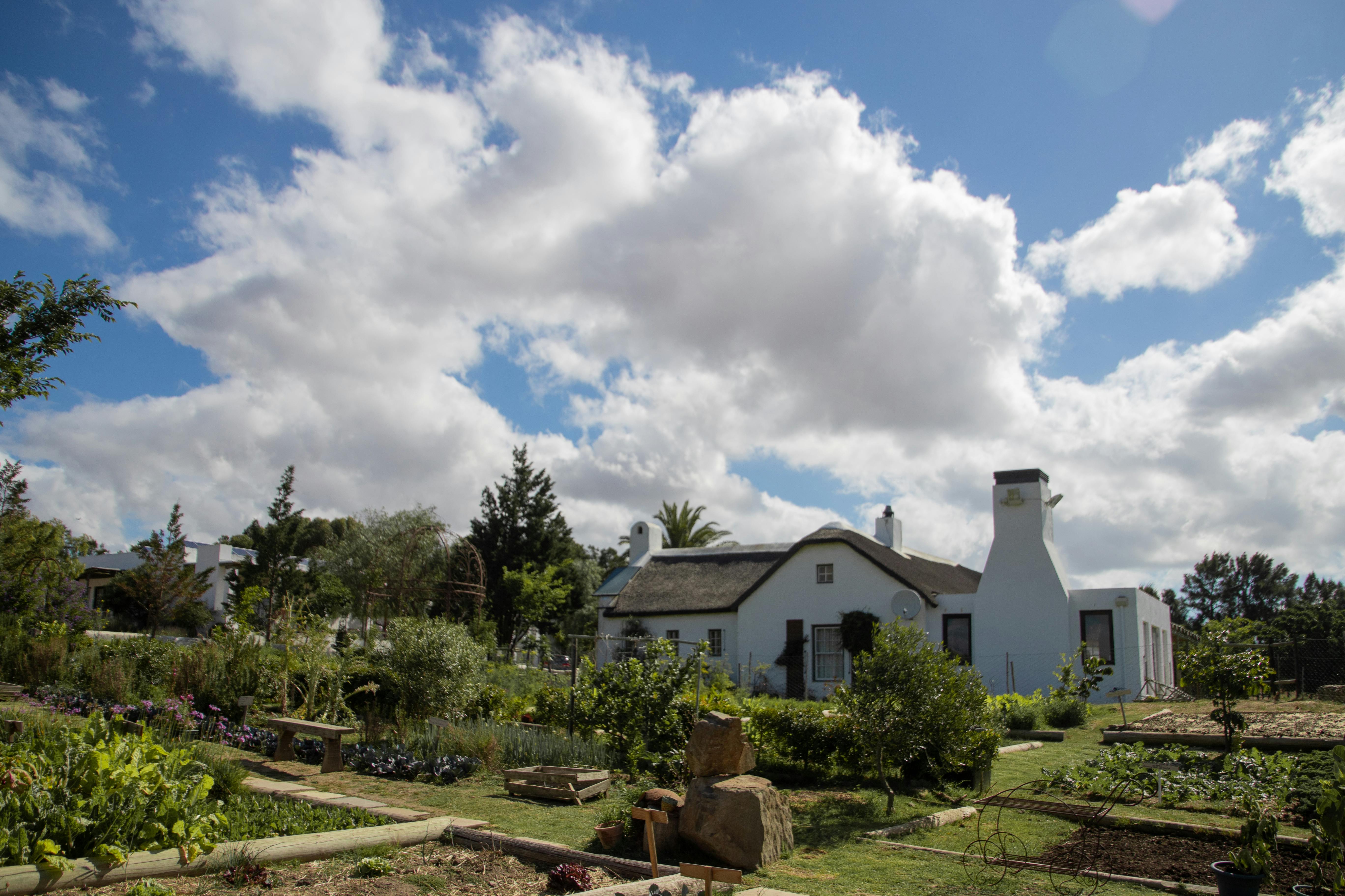 Free stock photo of braai, bushveld, campfire