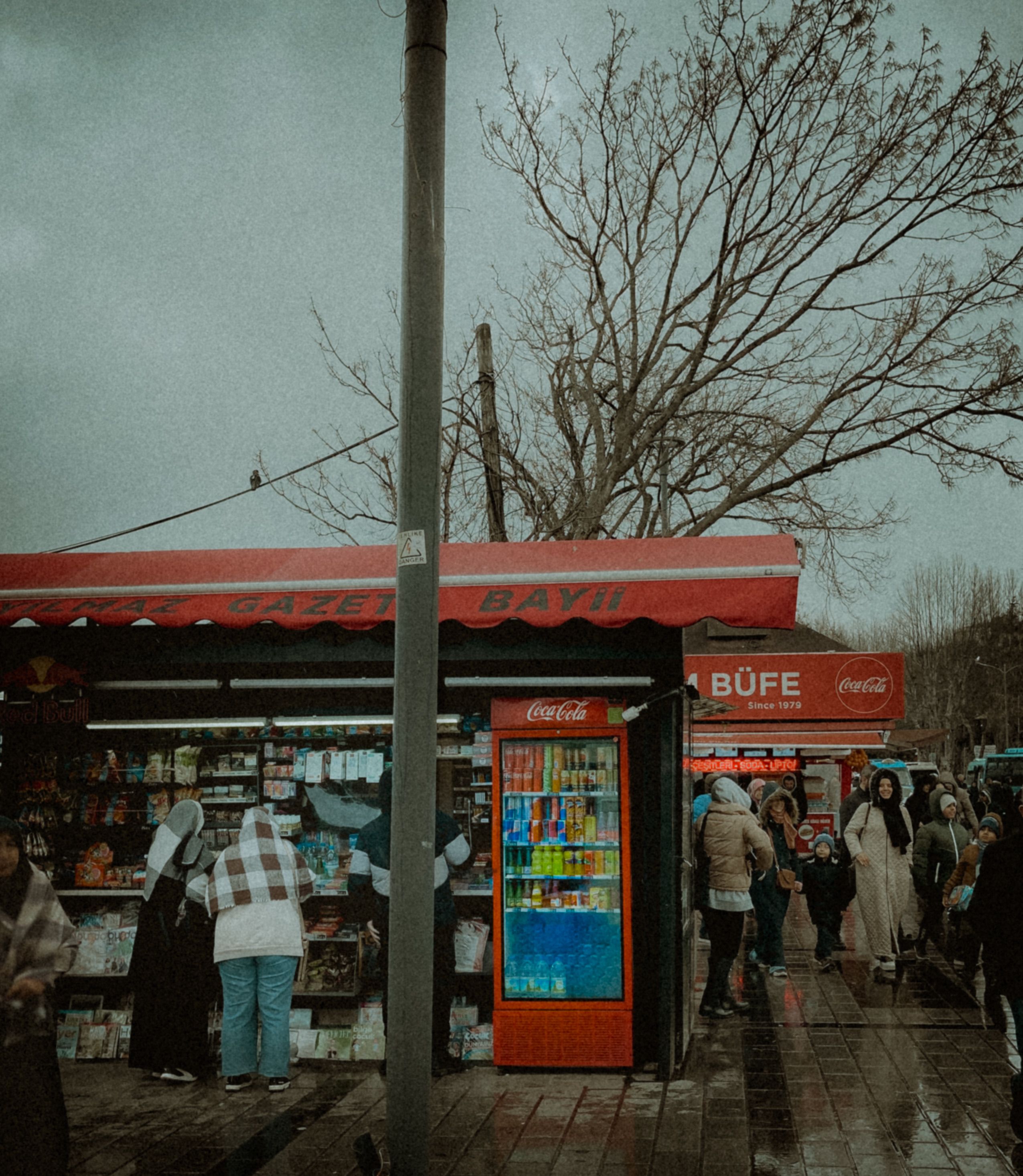 Booth and Tree near Street · Free Stock Photo