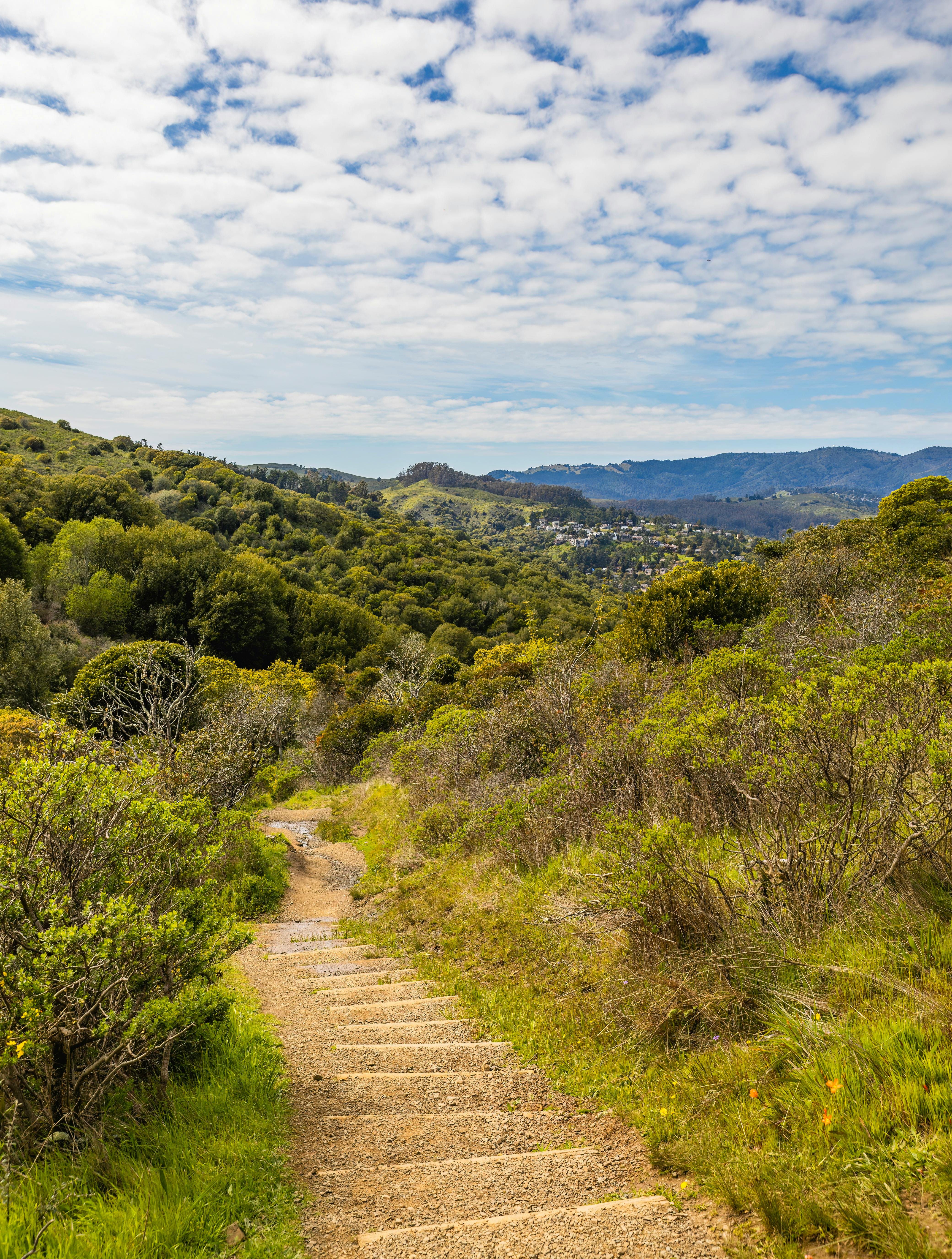 Steps 1 2 3 Photos, Download The BEST Free Steps 1 2 3 Stock Photos ...