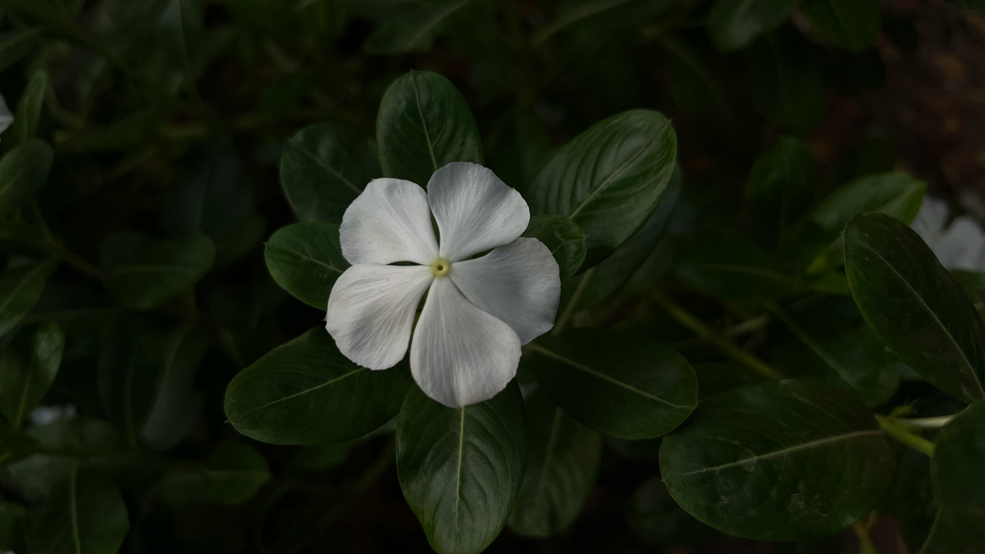 Manoo Media - 摄影