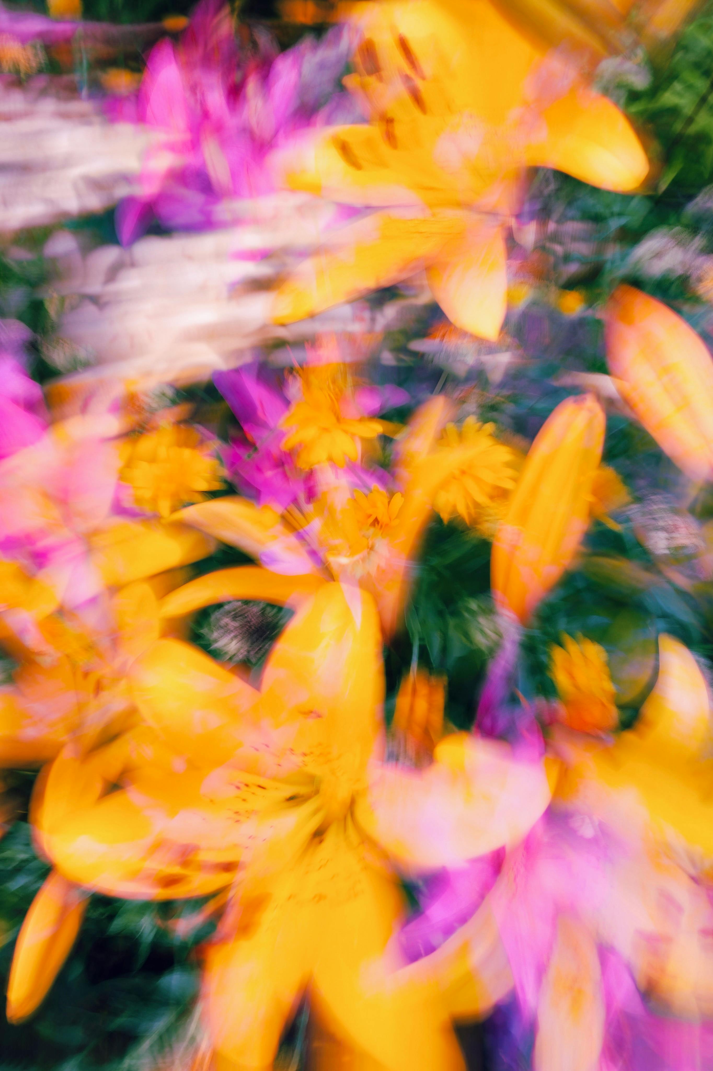 Vibrant Distorted Flowers · Free Stock Photo