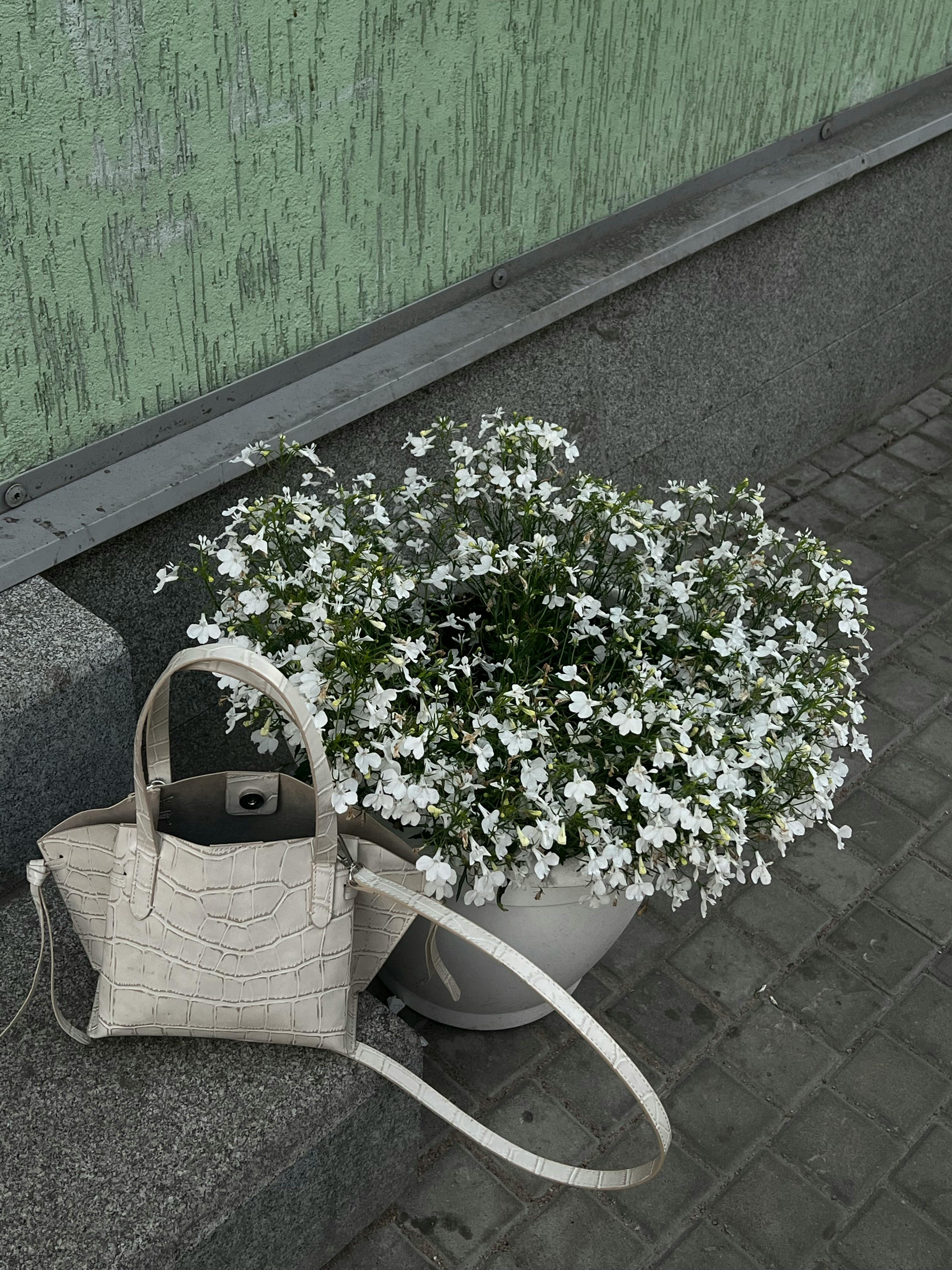 Flower Arrangement Steps Photos, Download The BEST Free Flower ...