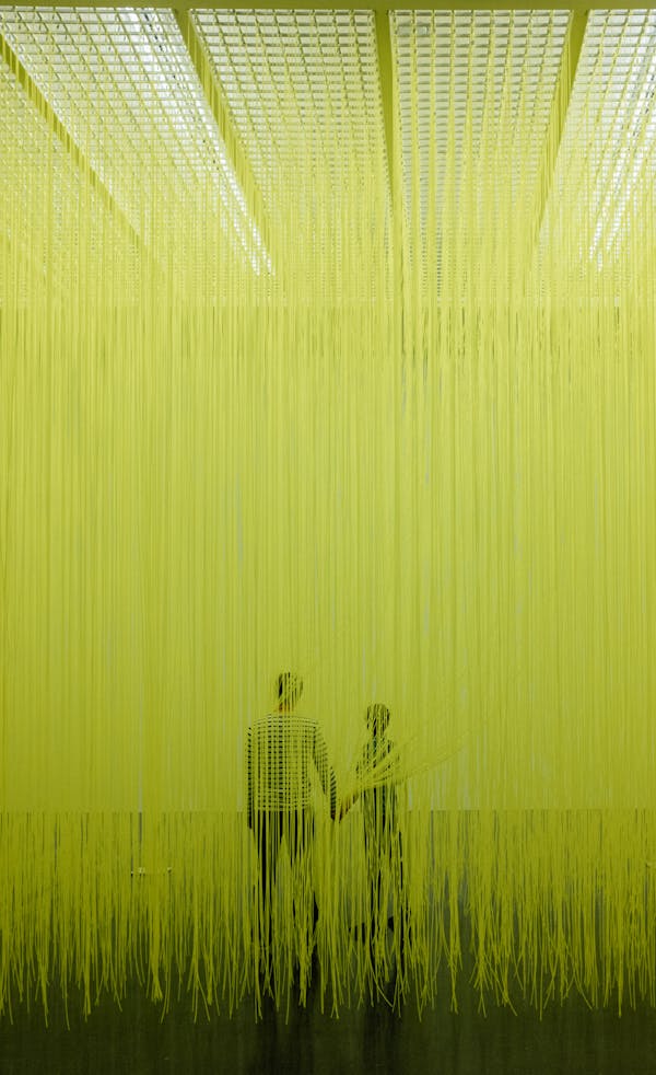 String Art Photos, Download The BEST Free String Art Stock Photos & HD ...