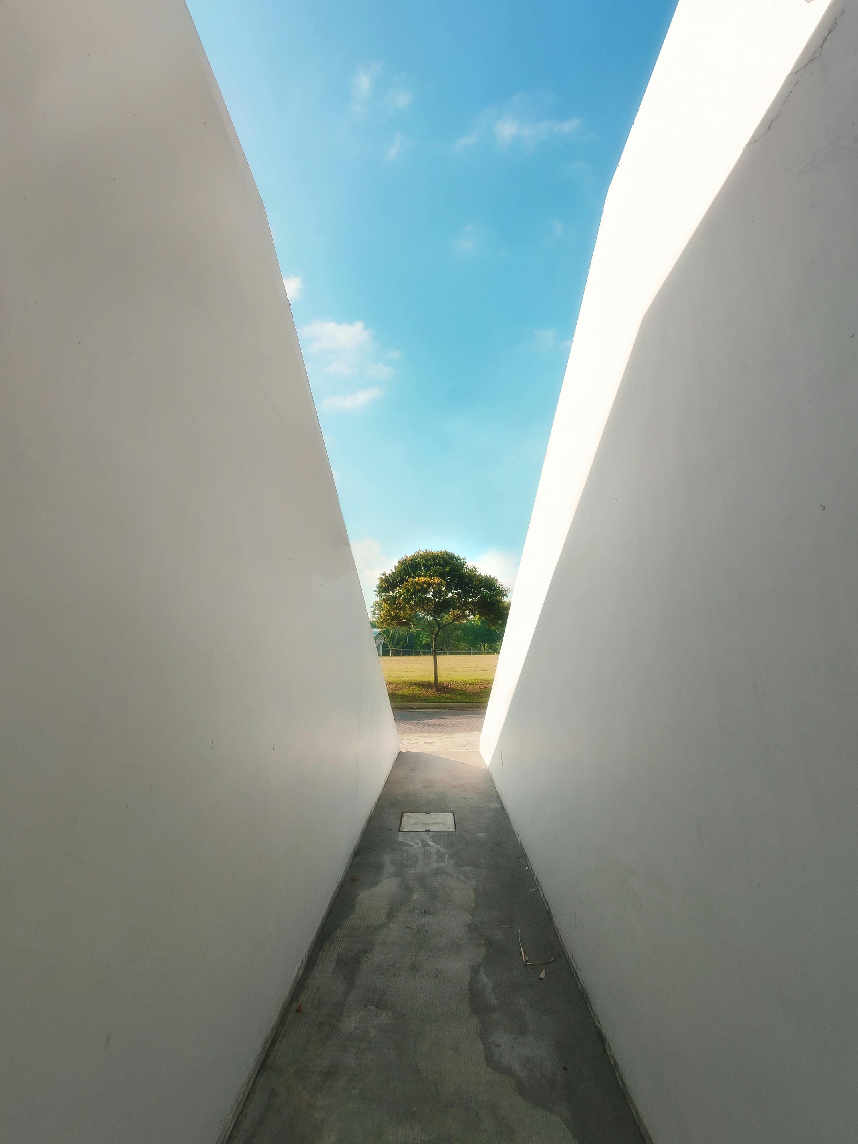 Shophouses Photos, Download The BEST Free Shophouses Stock Photos & HD ...