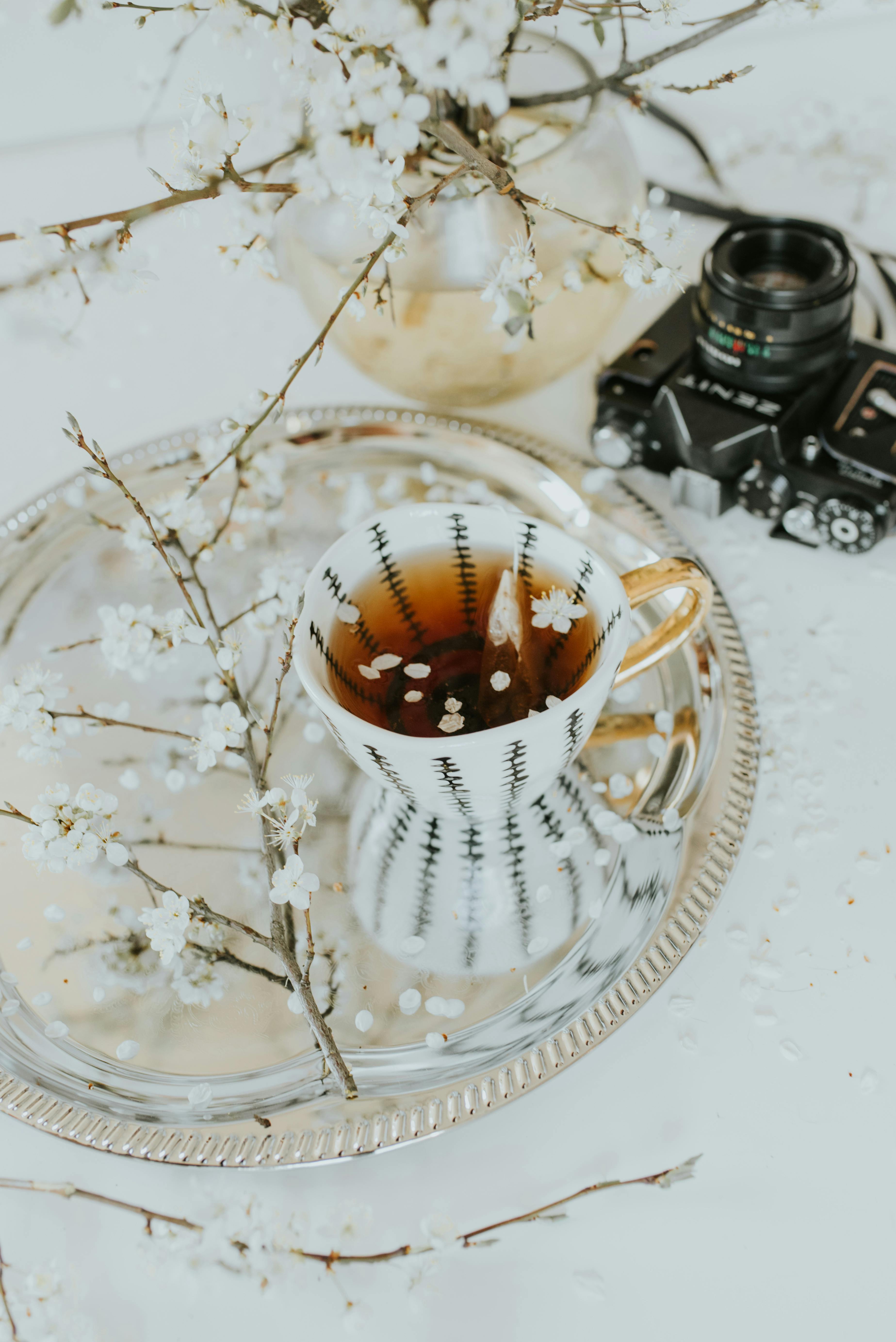 Tea, Camera and Branches around · Free Stock Photo