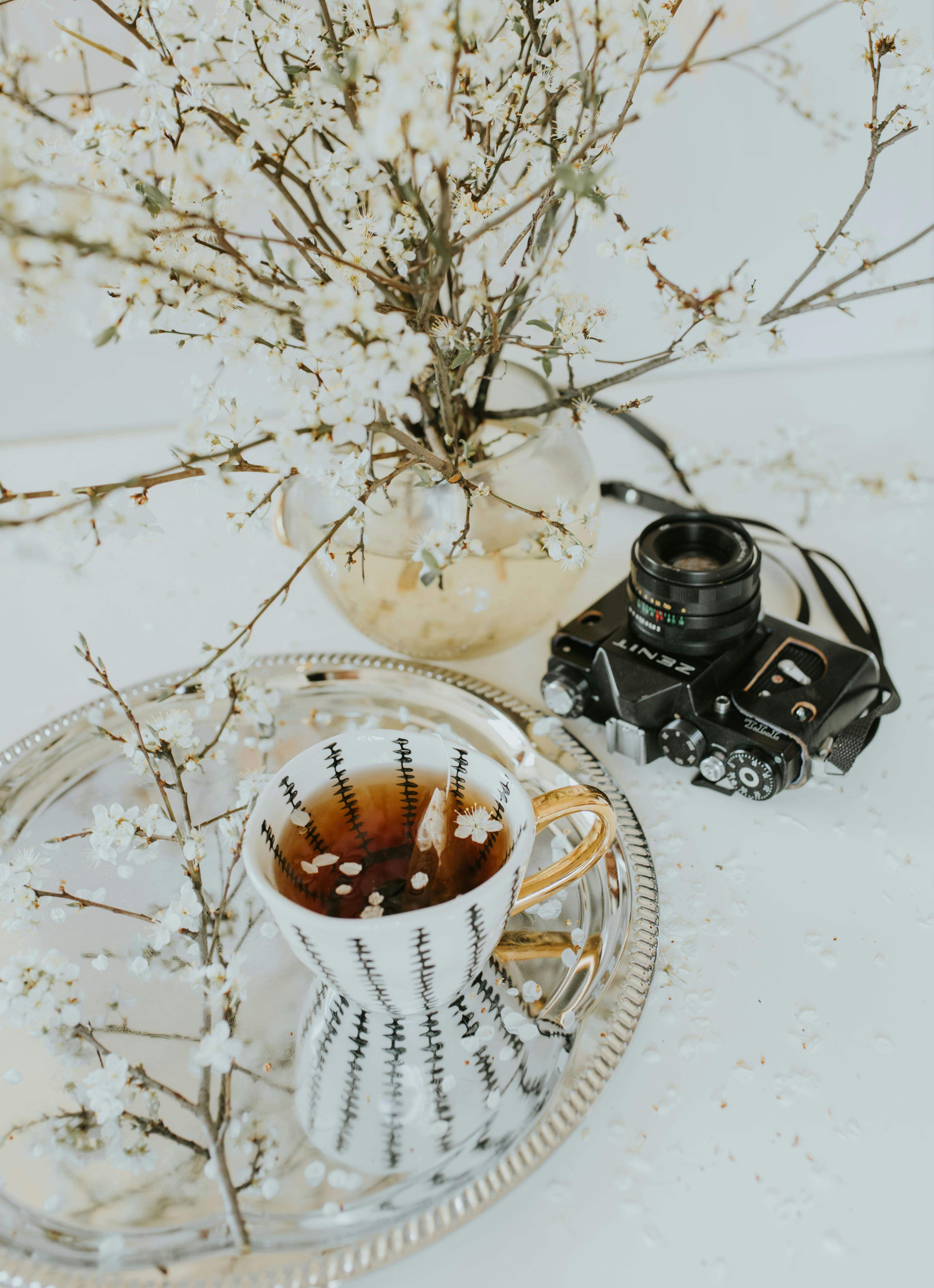 Tea, Camera and Branches · Free Stock Photo