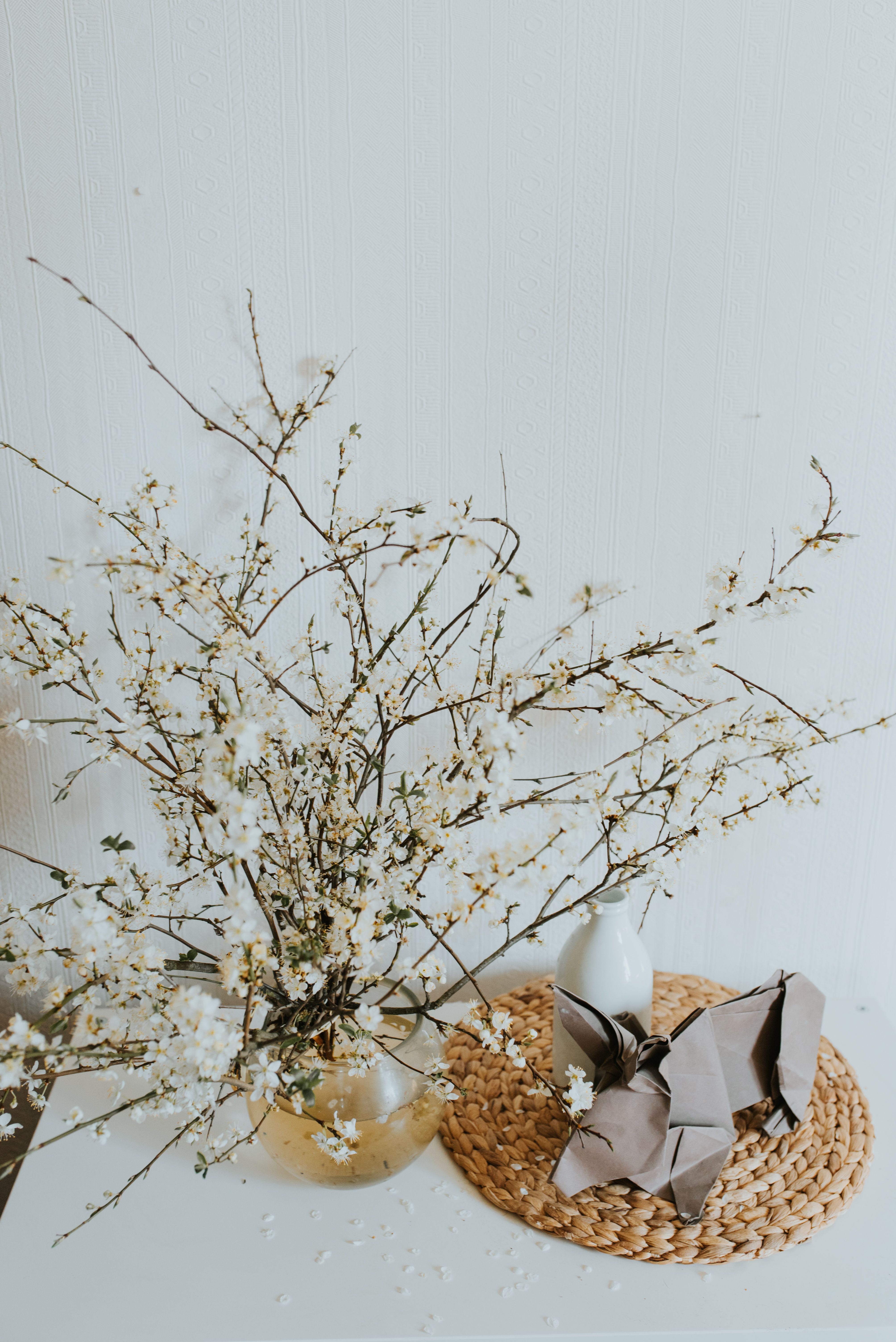 Foto de stock gratuita sobre arbusto ornamental, arreglo floral, arte ...