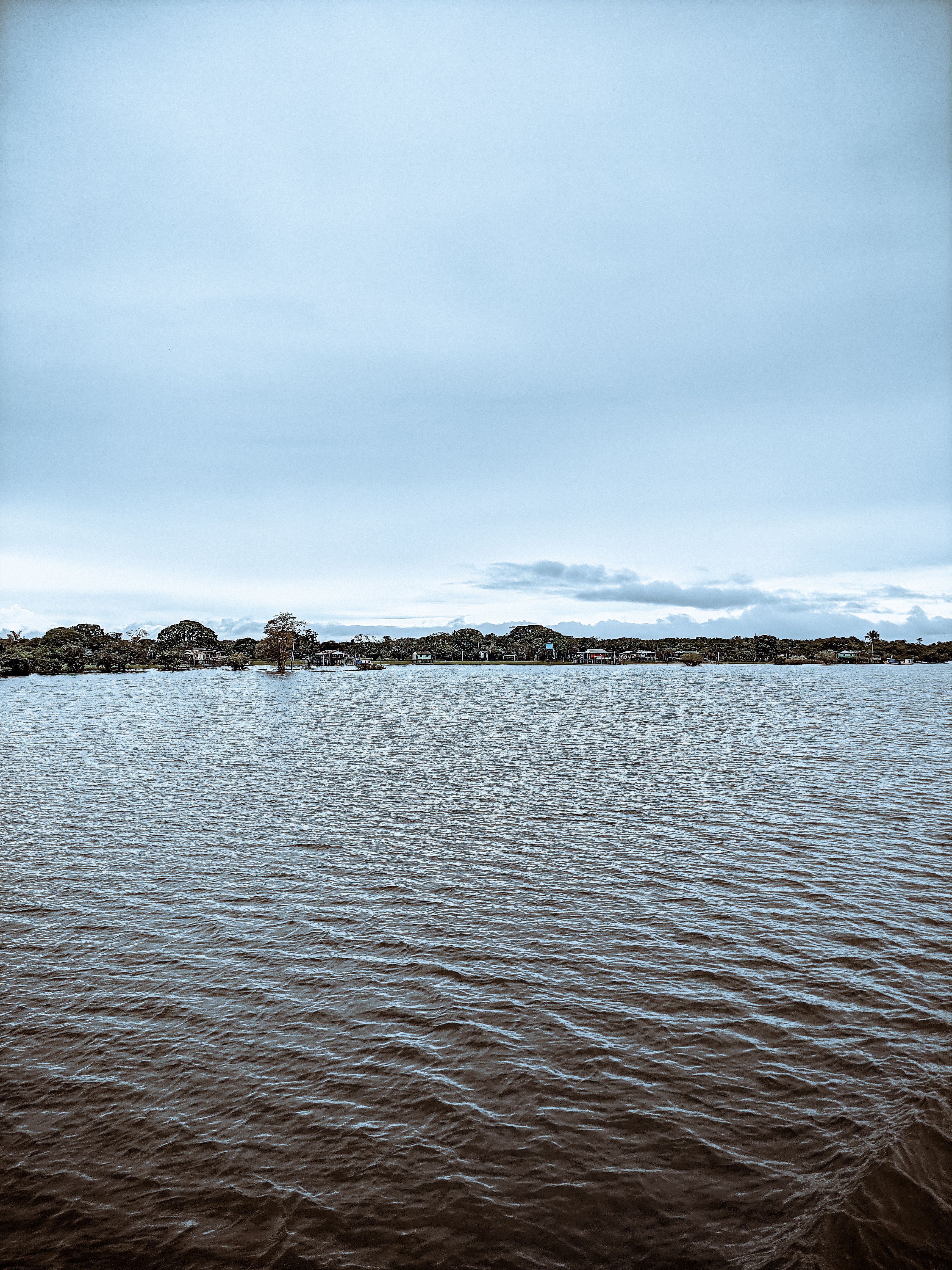Calm River Water in Nature · Free Stock Photo