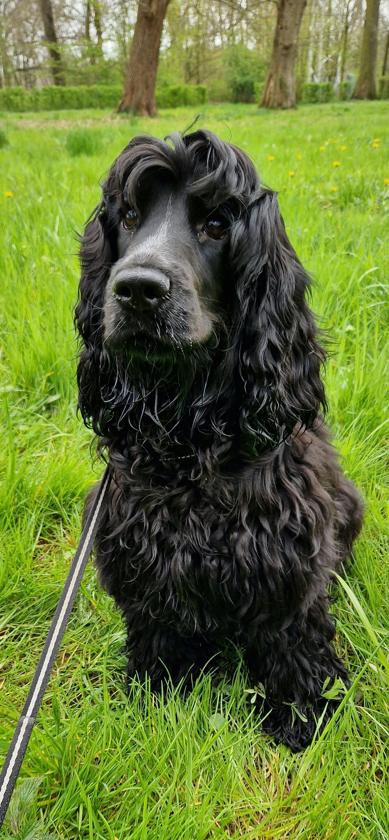 Anouk Doe - Fotografie