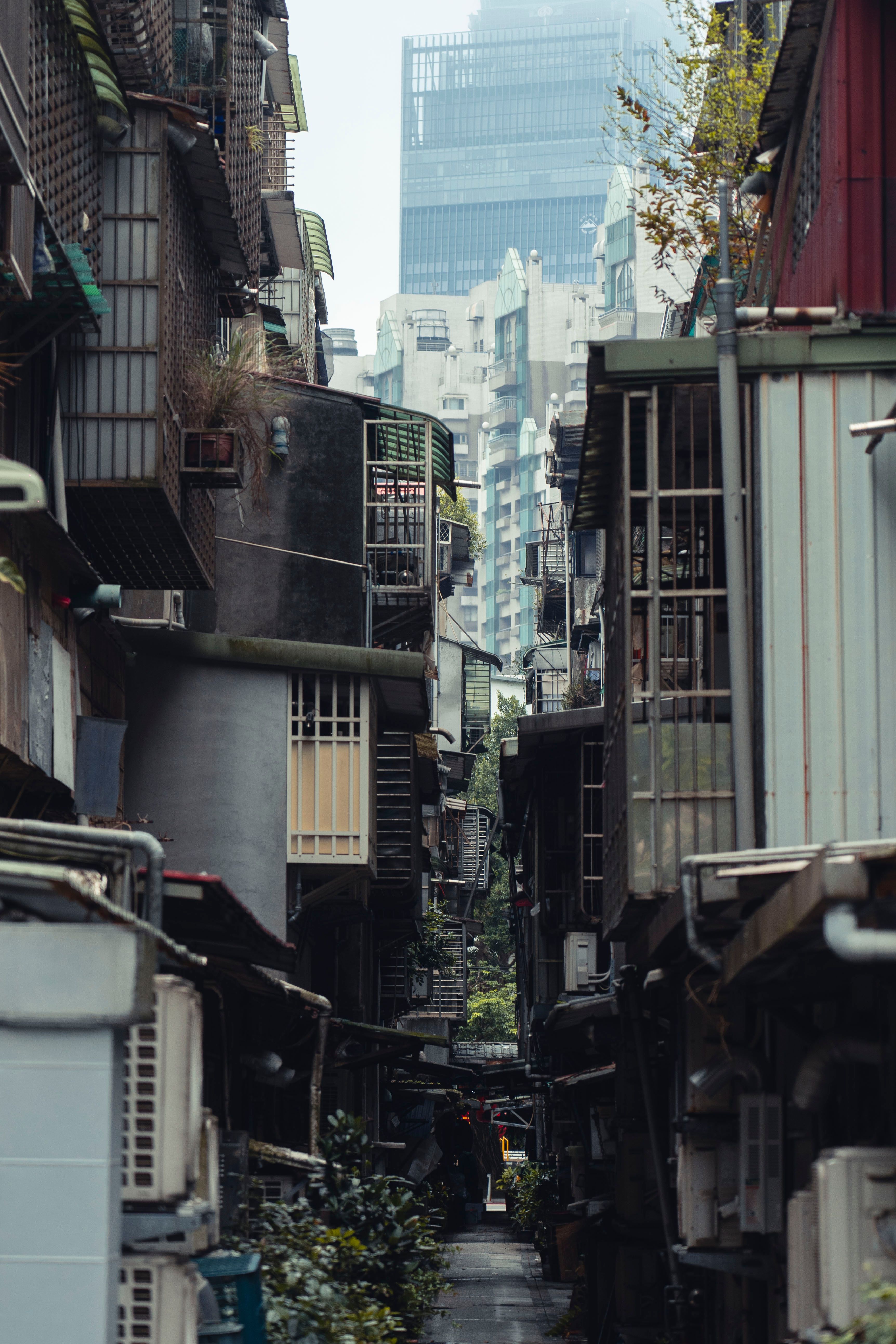 Dense Housing in City · Free Stock Photo