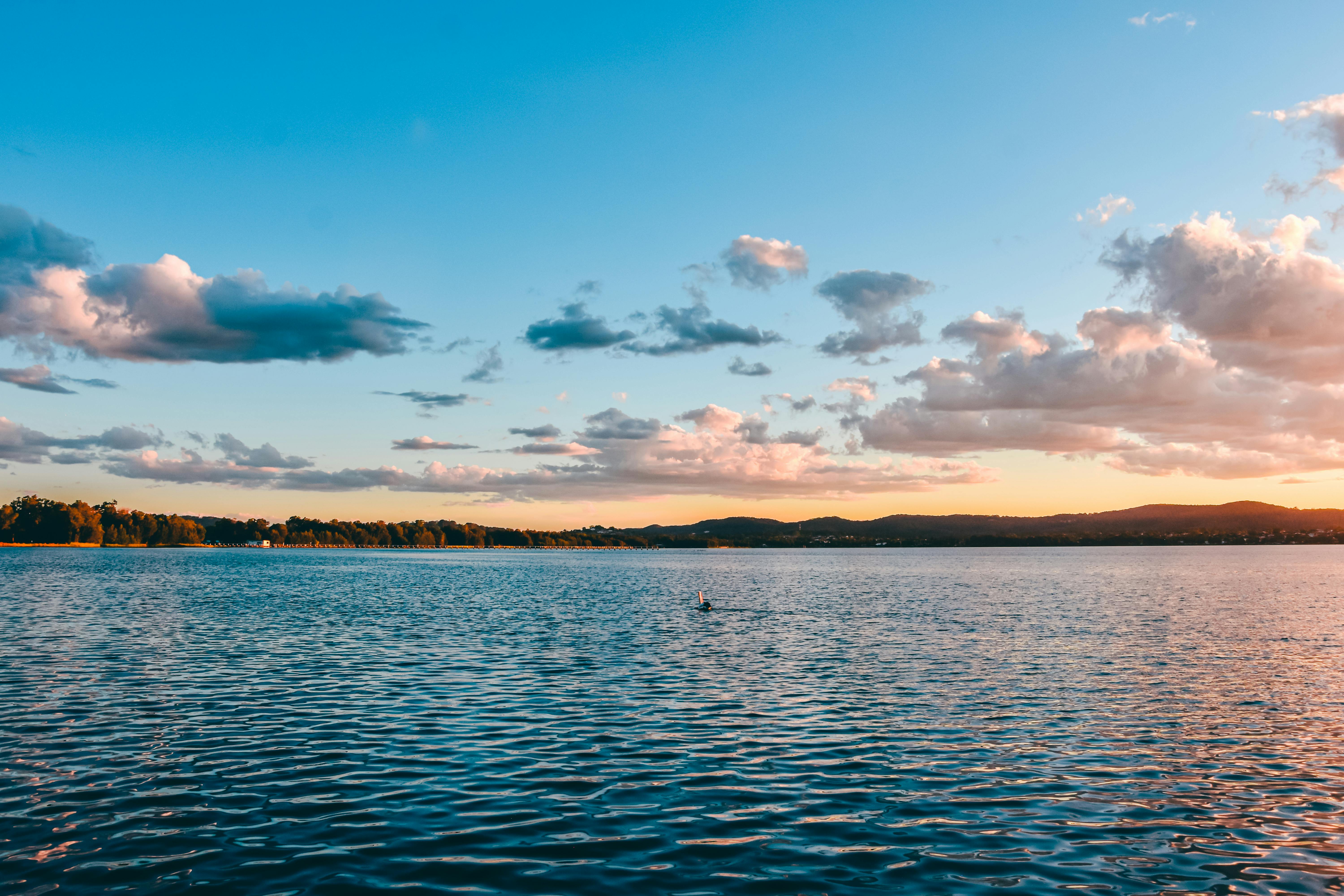 Ilmainen kuvapankkikuva aiheesta aalto, aamu, aikainen aamu ...