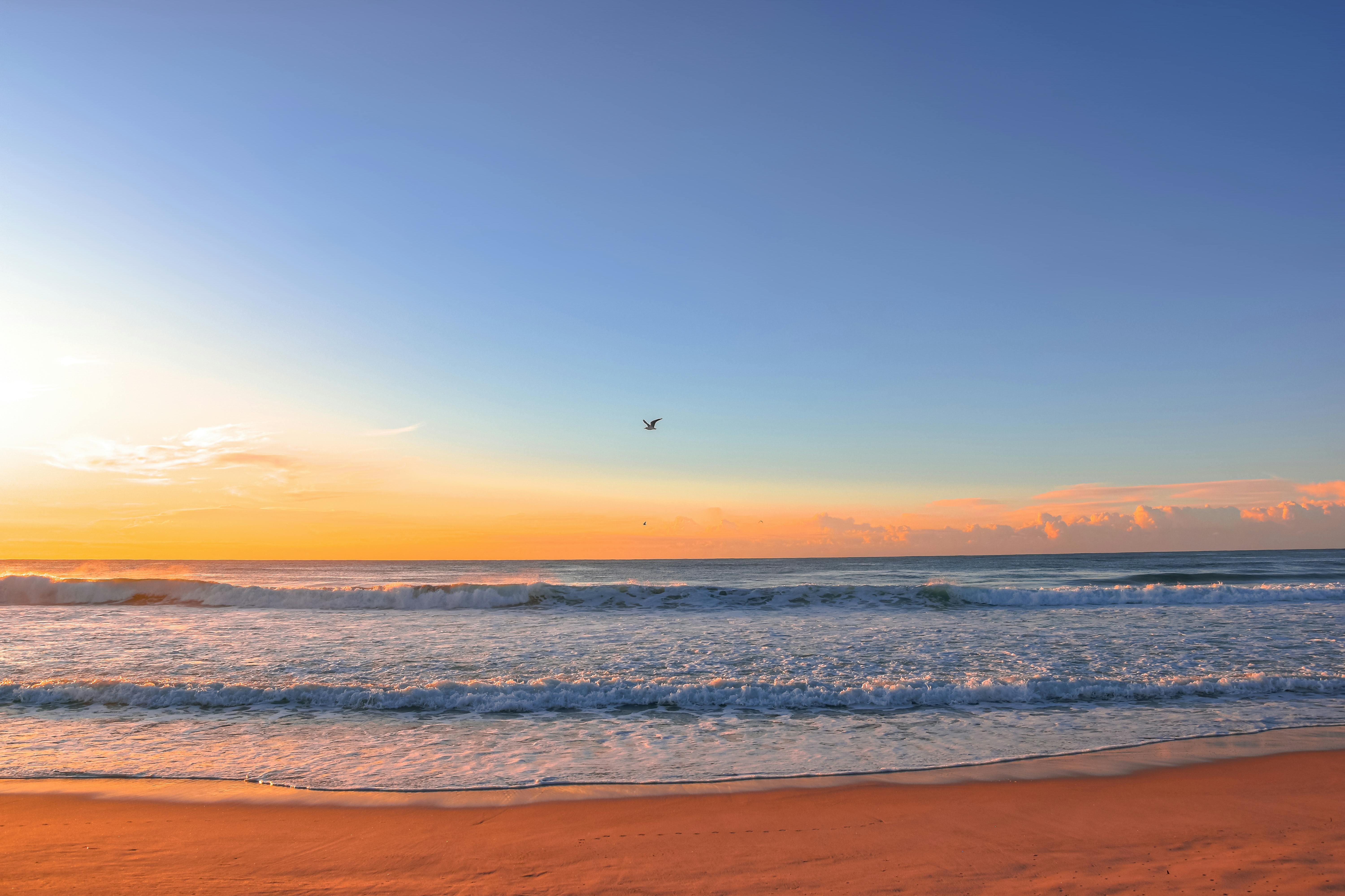 Základová fotografie na téma austrálie, brzké ráno, brzy východ slunce ...
