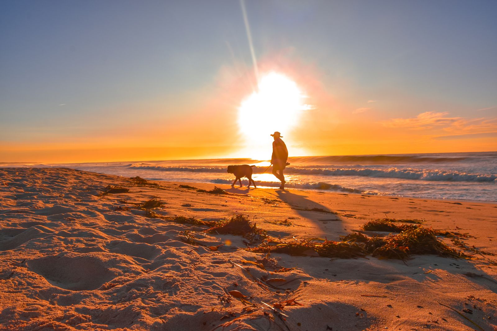Dog Man Wallpaper Photos, Download The BEST Free Dog Man Wallpaper ...