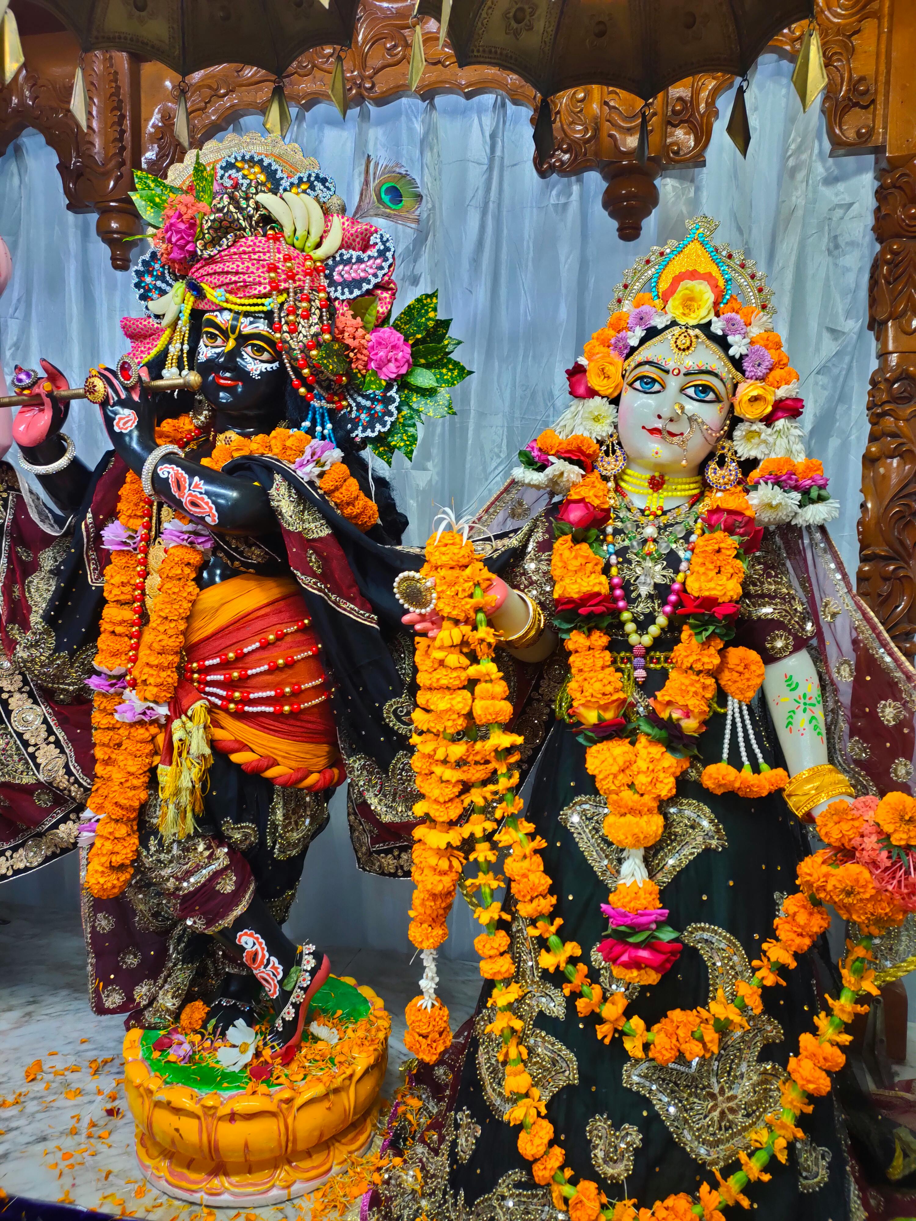 Tapos Roy Arjun - Photography