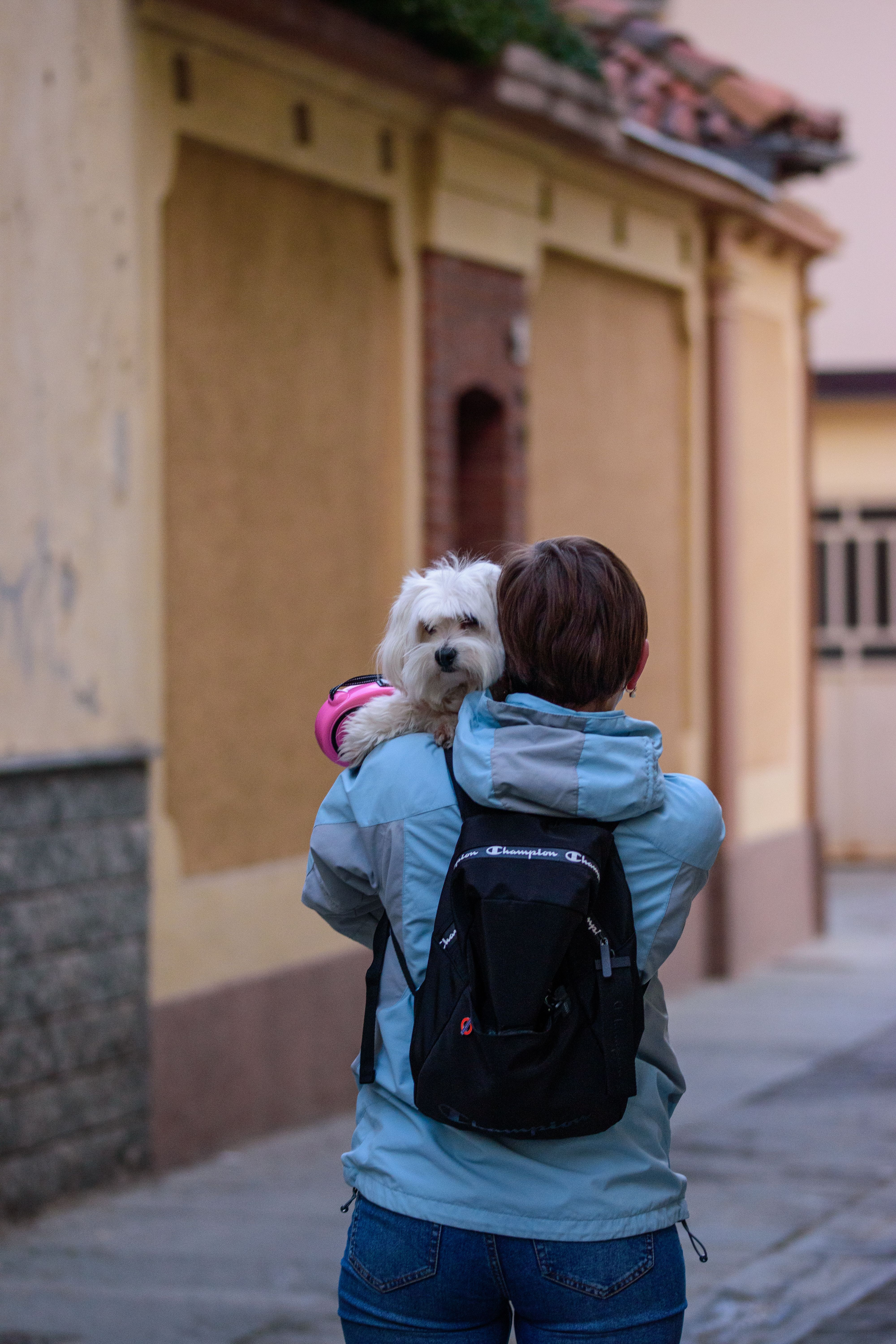 Woman Carrying a Dog · Free Stock Photo
