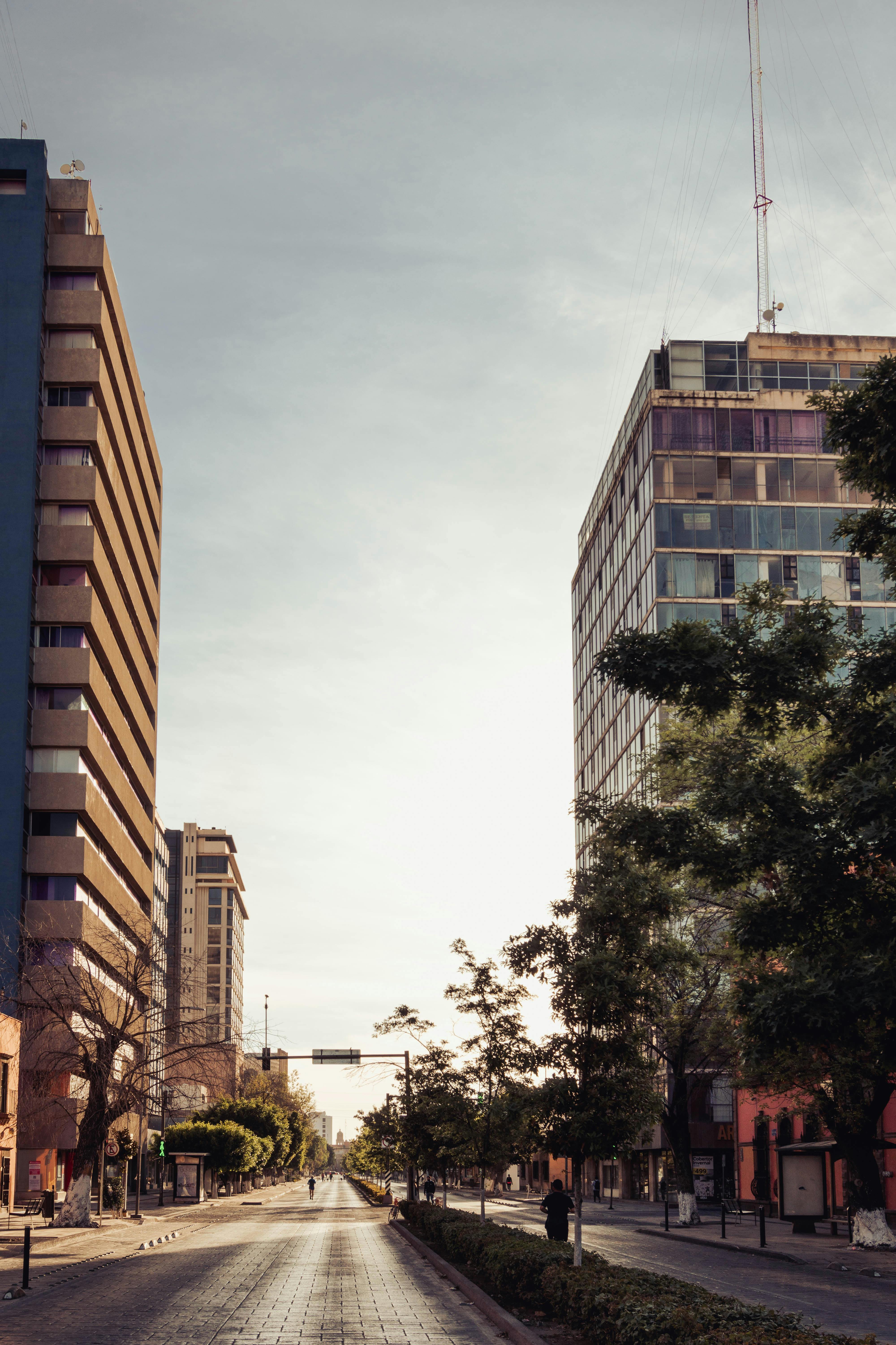 Street along Modern Buildings · Free Stock Photo