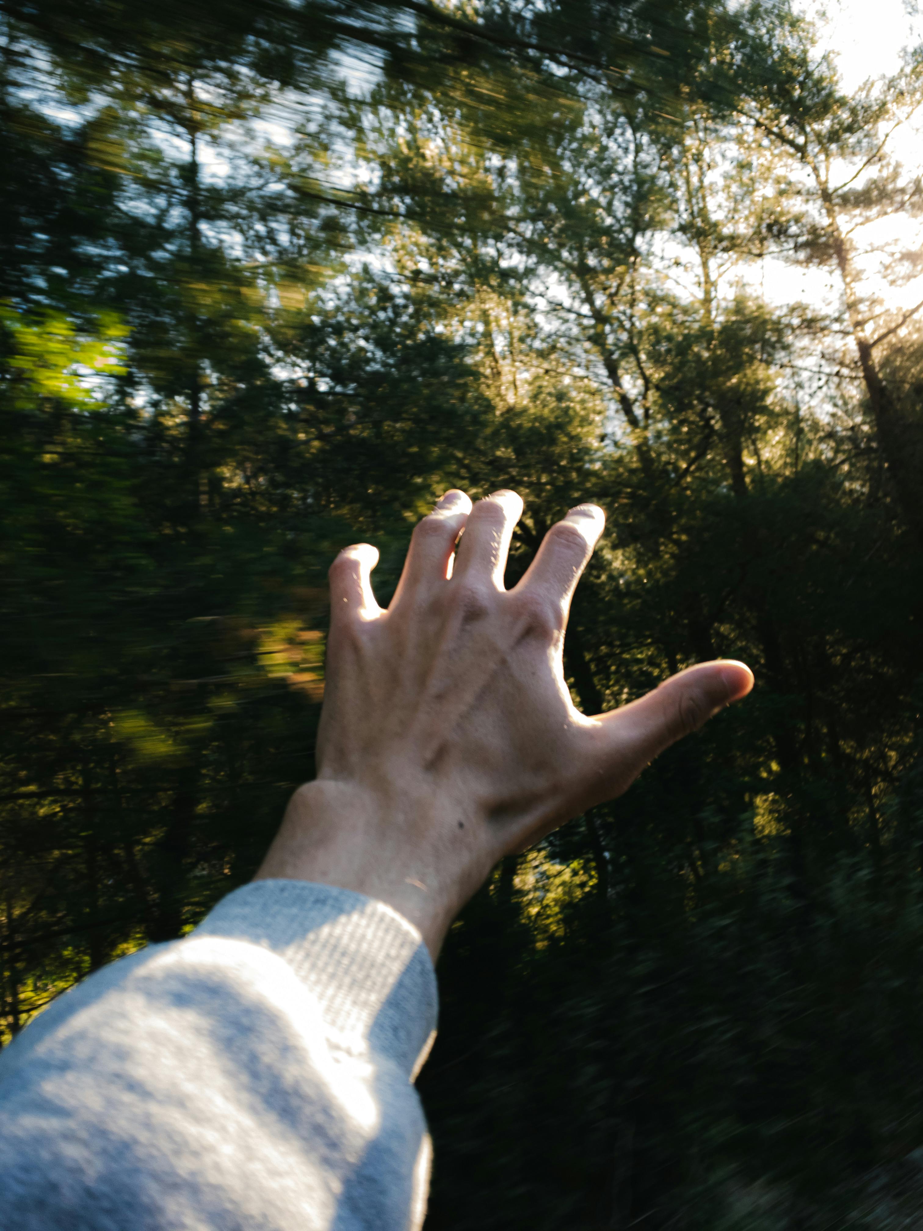 Man Reaching out his Hand · Free Stock Photo