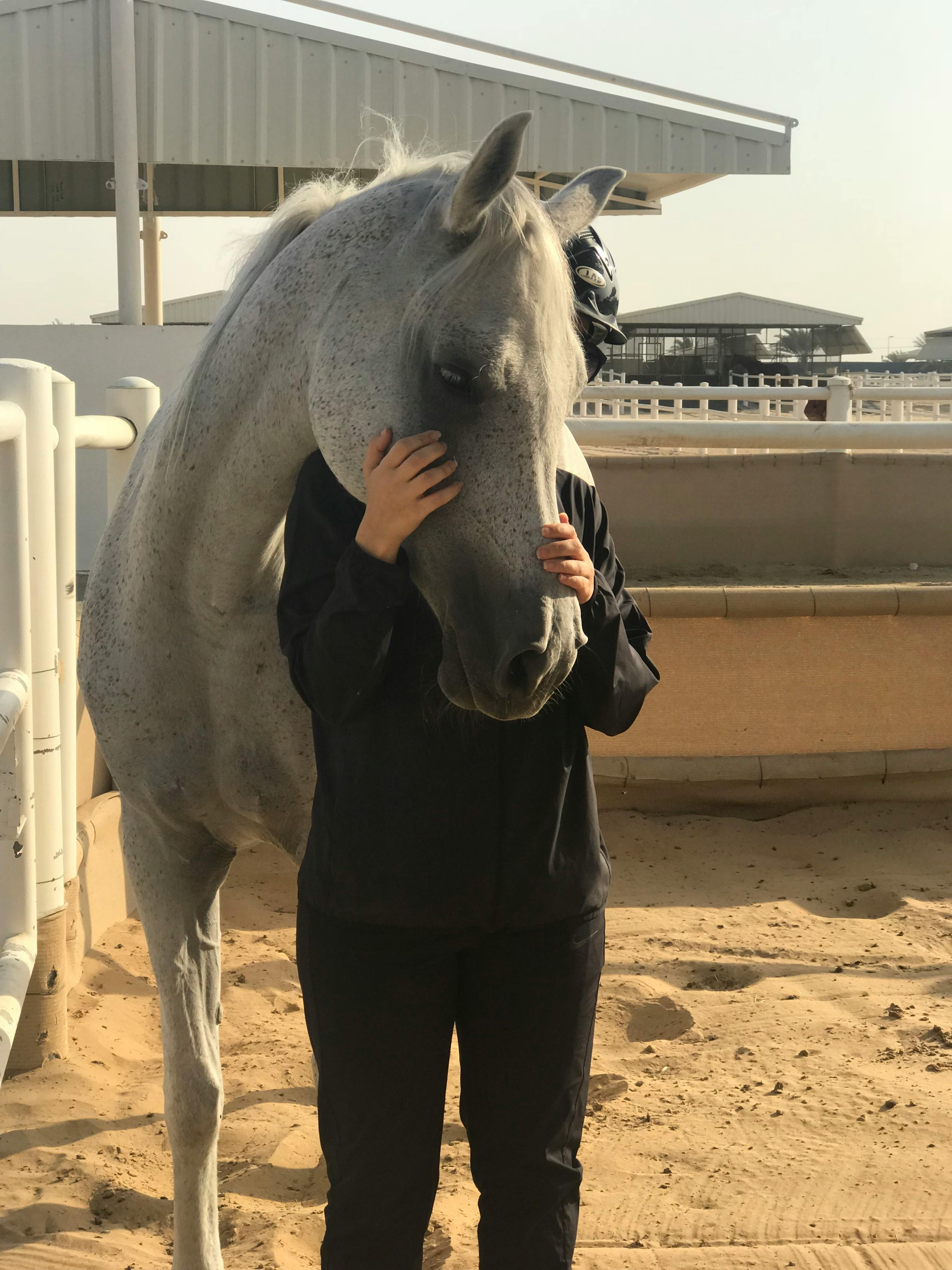 Horse Raider Photos, Download The BEST Free Horse Raider Stock Photos ...