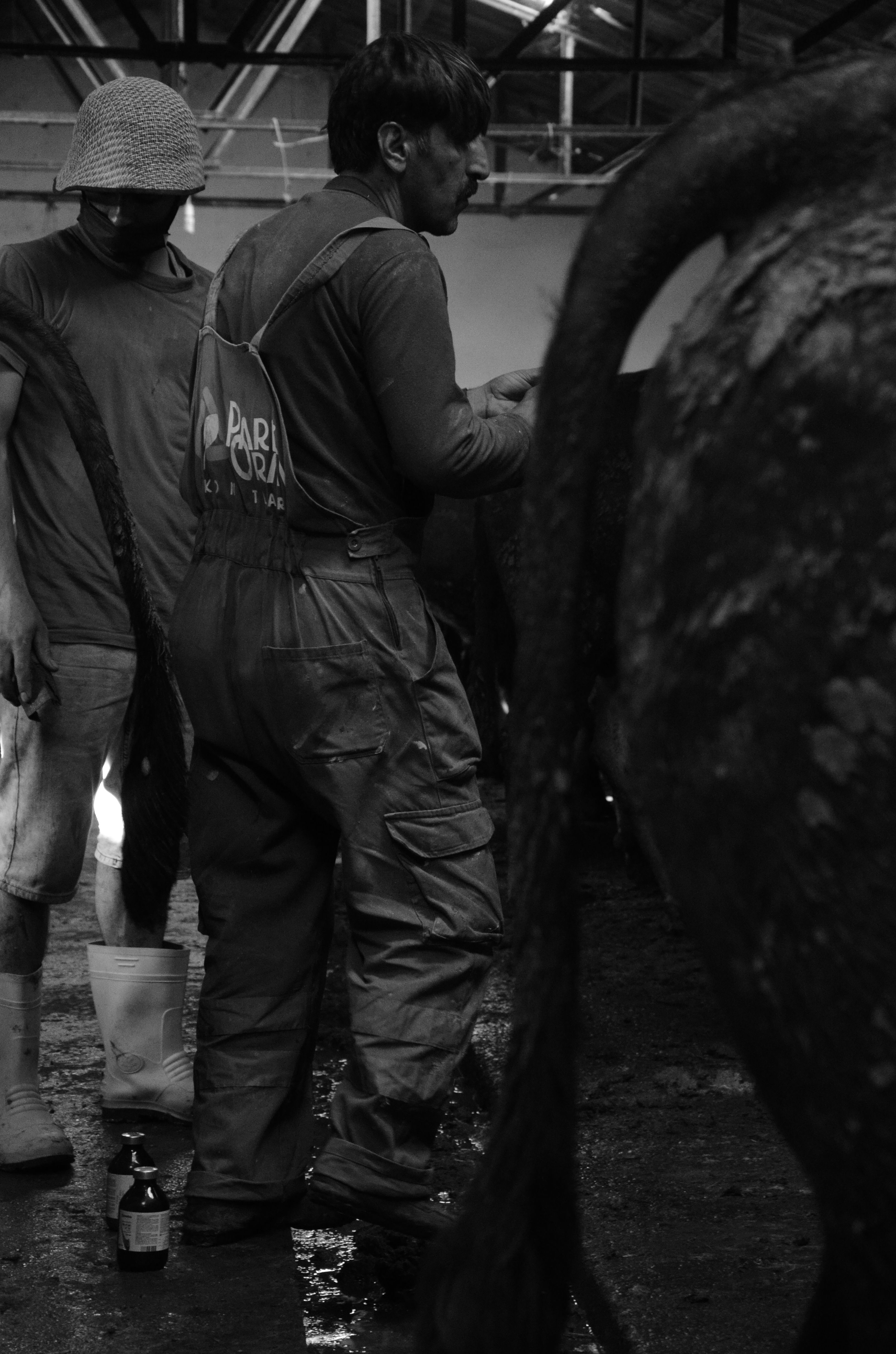 Workers at Farm · Free Stock Photo