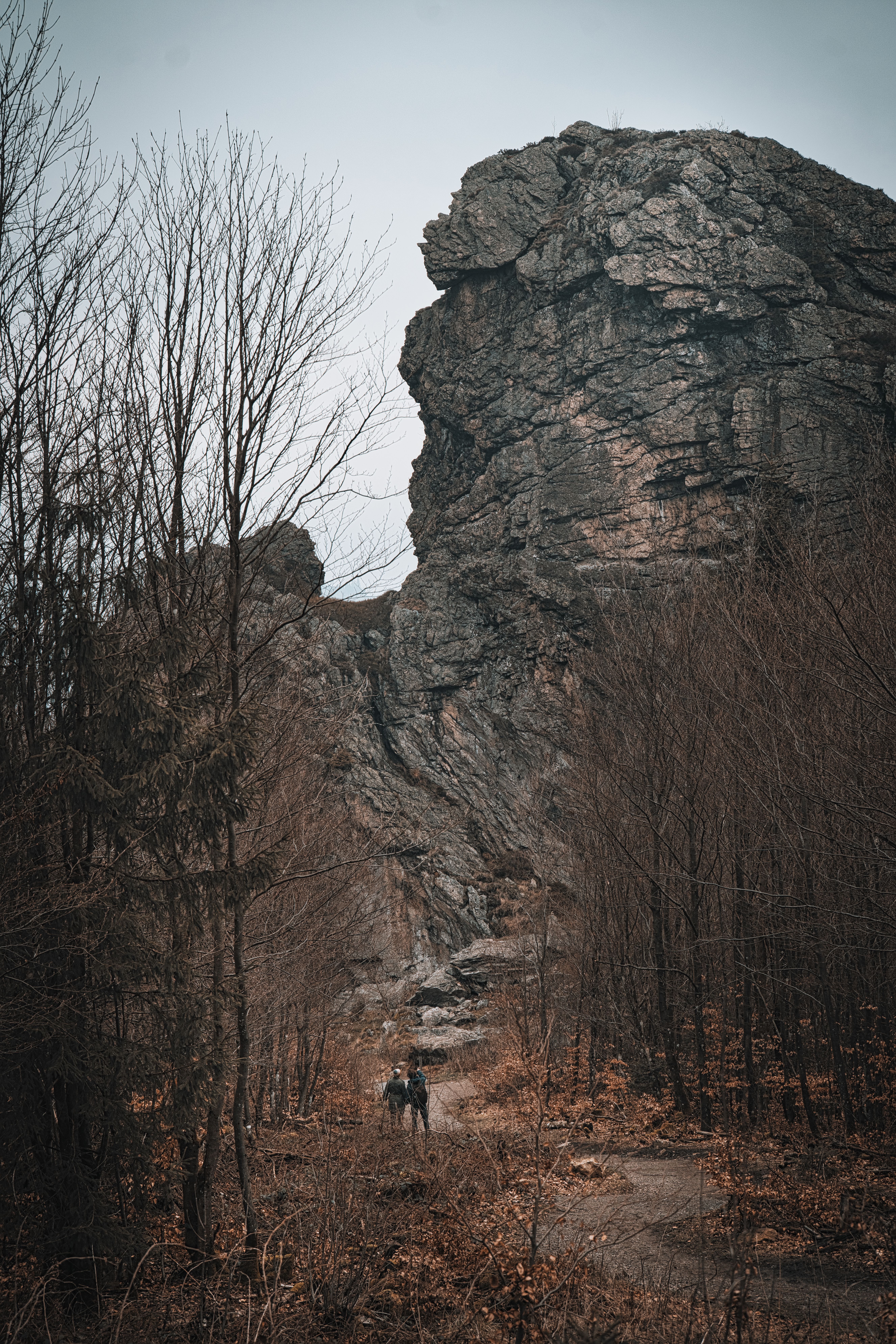 Earth Without Humans Photos, Download The BEST Free Earth Without ...