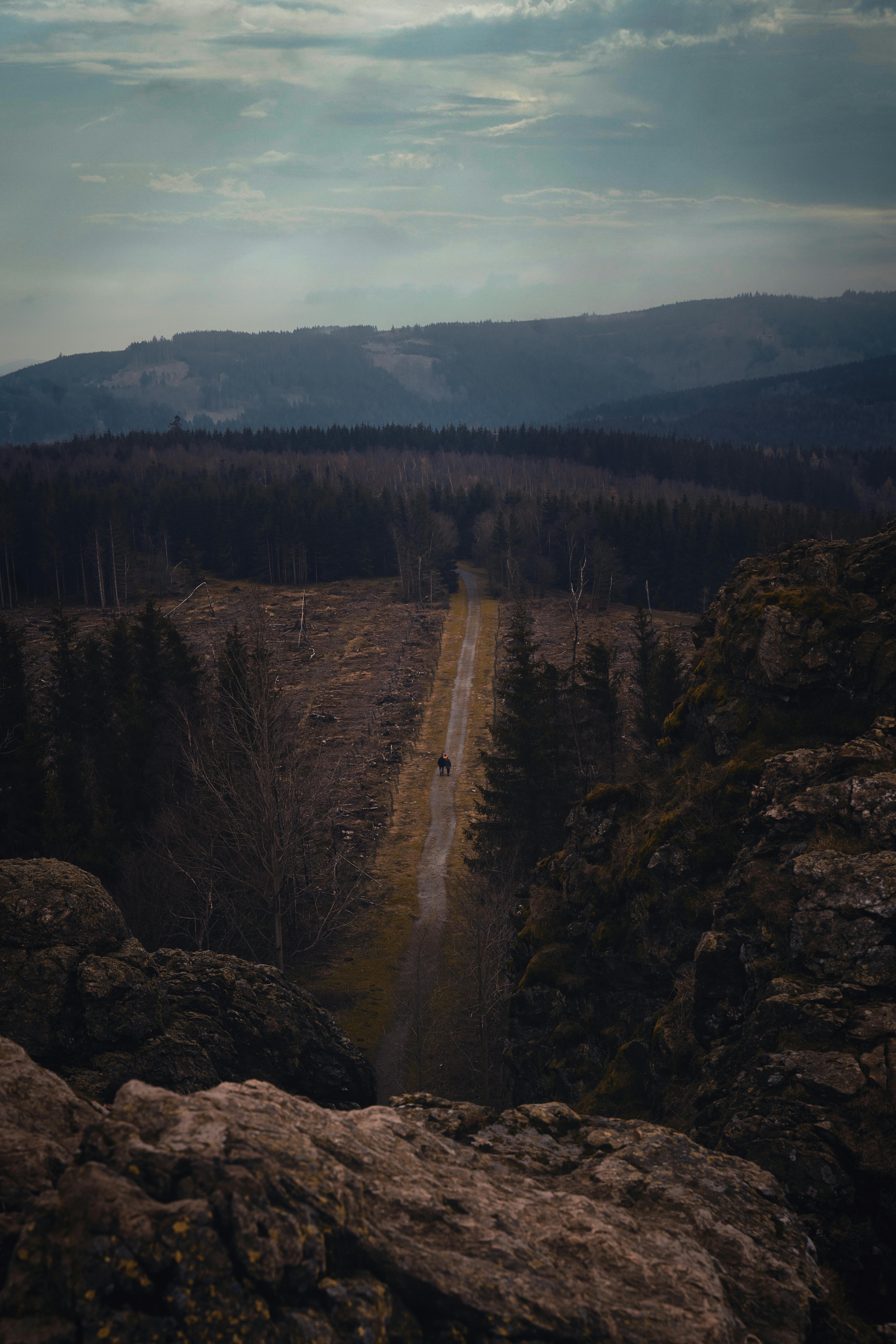 Tom Swinnen - 摄影