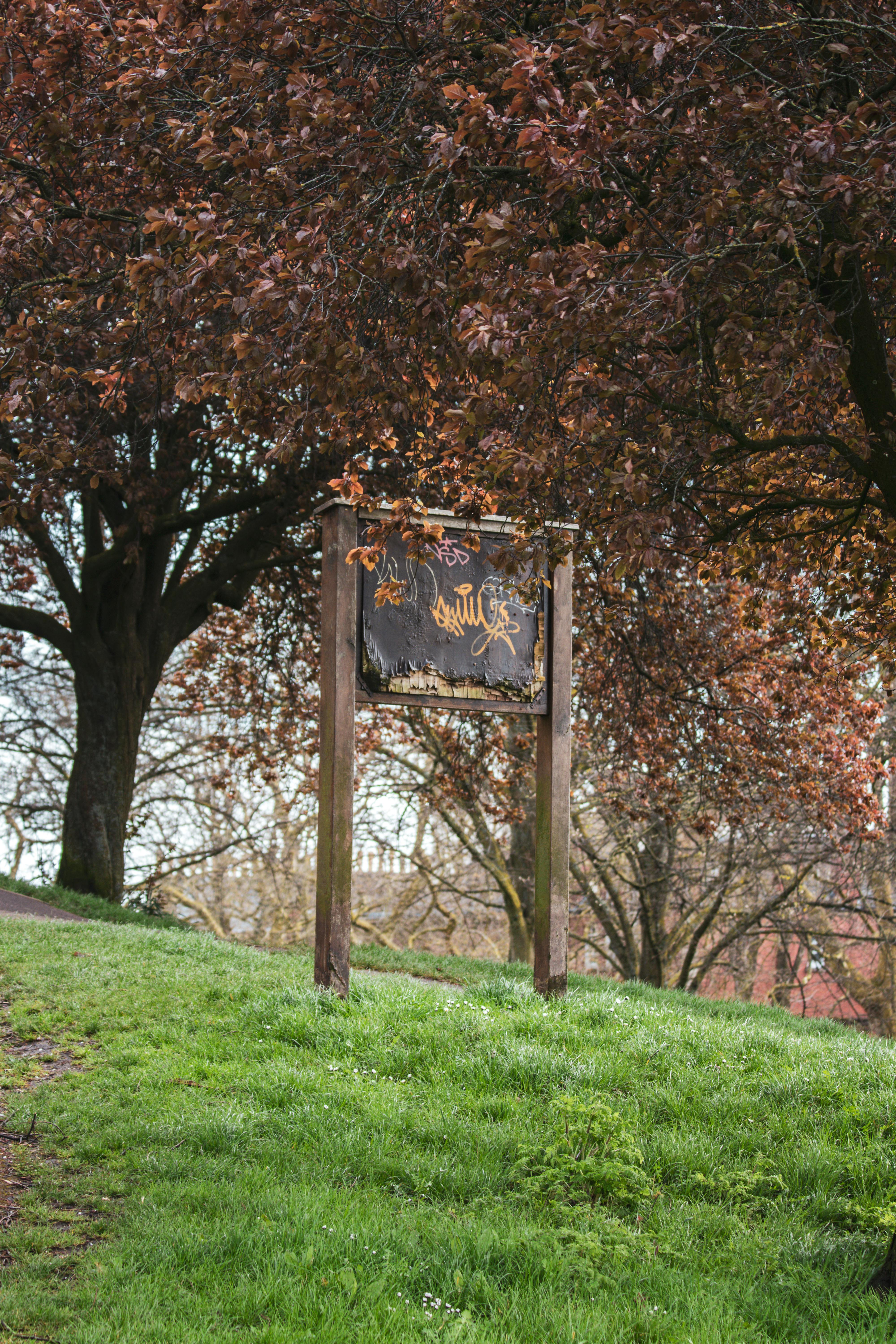 Neglected Stand Board in Park · Free Stock Photo