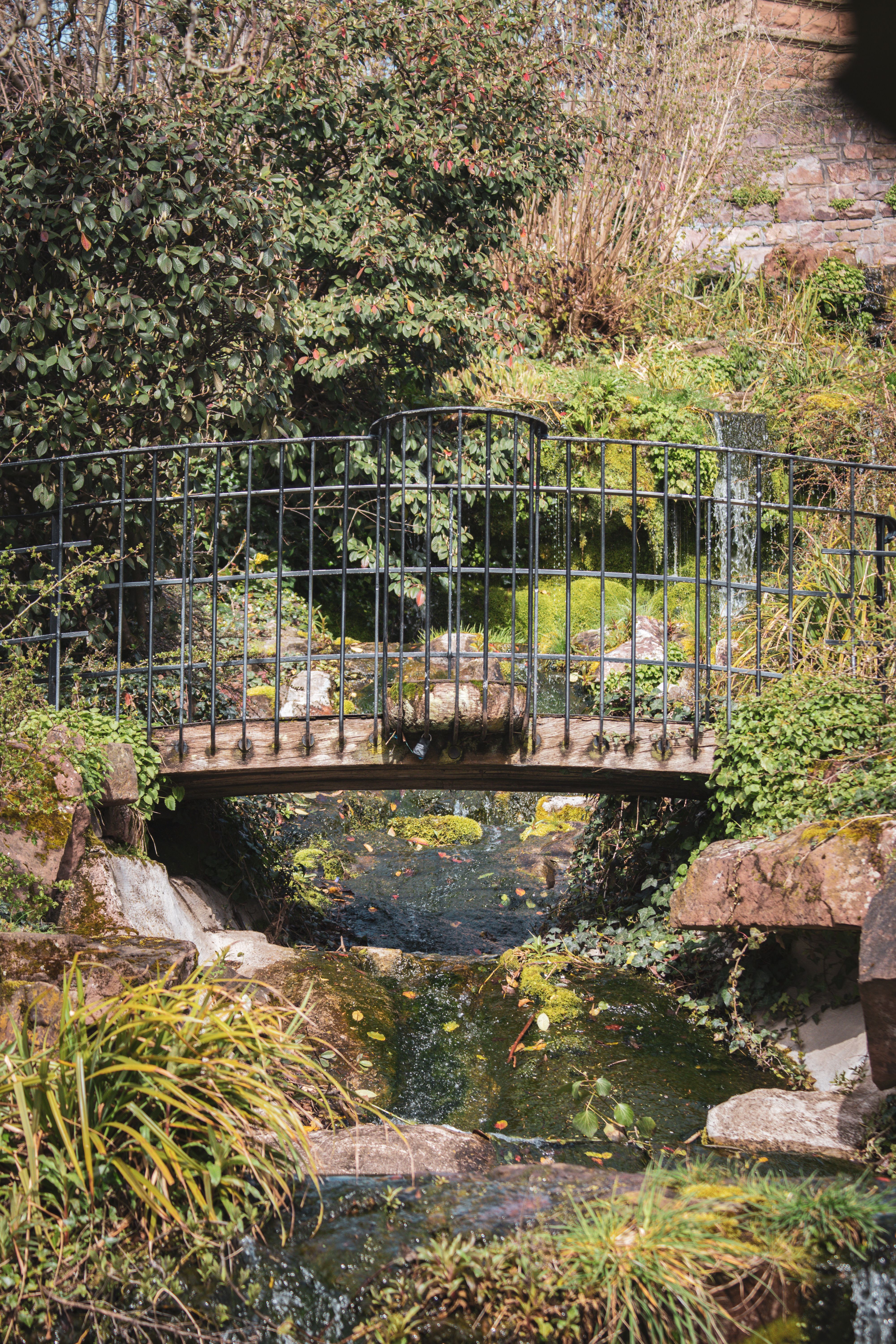 Footpath over Stream in Park · Free Stock Photo