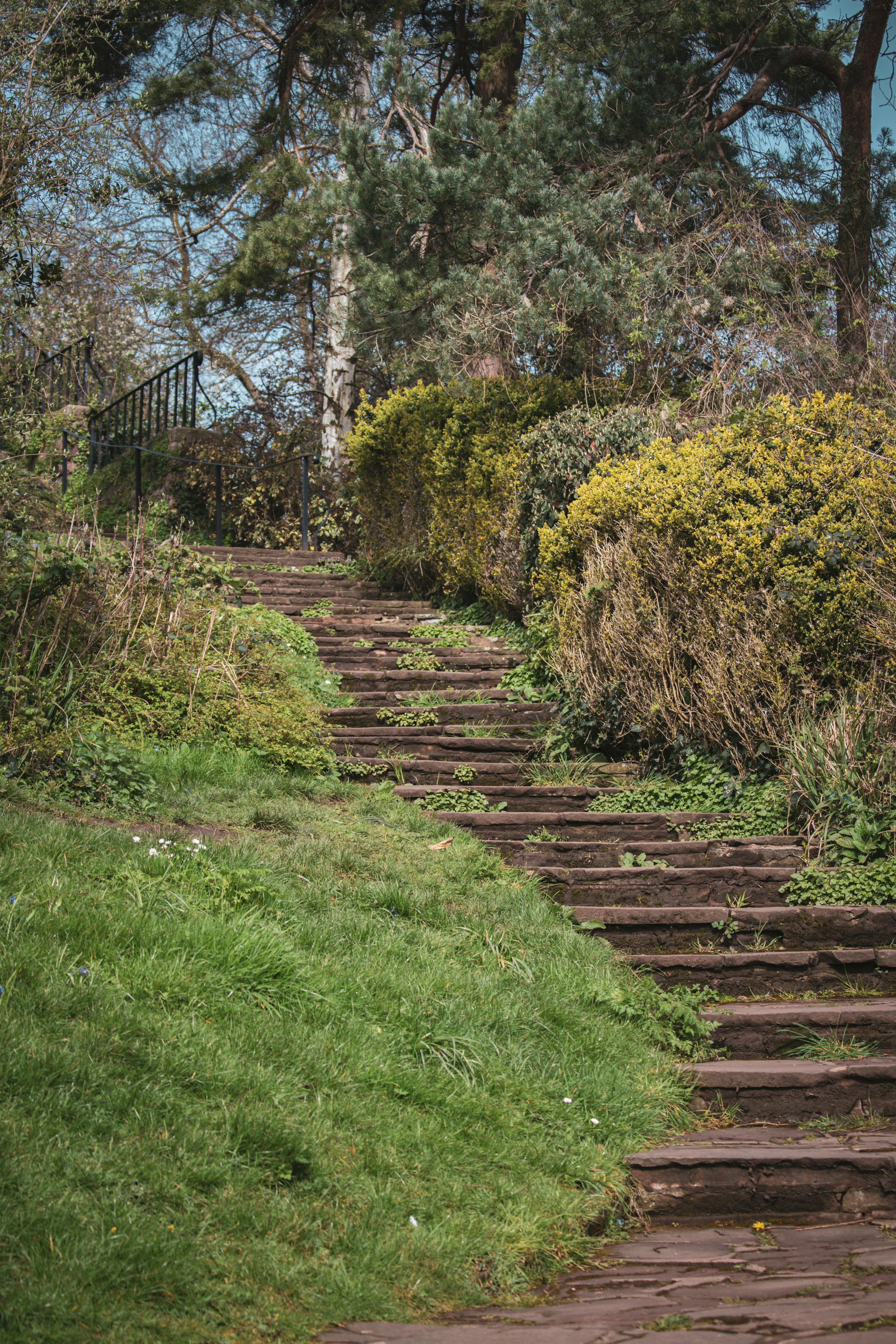 Stone Steps in Park · Free Stock Photo