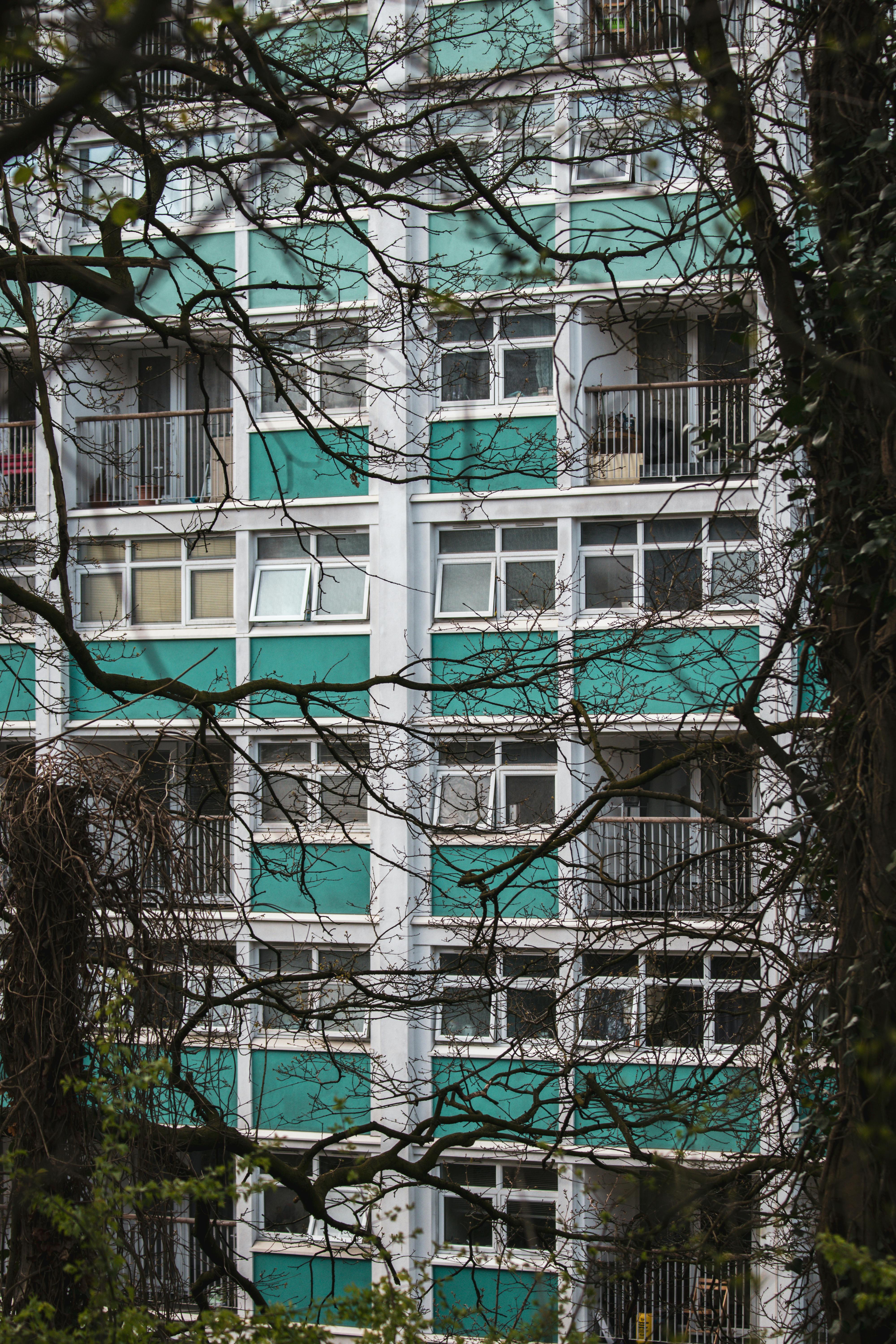 Tree Branches in front of a Modern Residential Building · Free Stock Photo