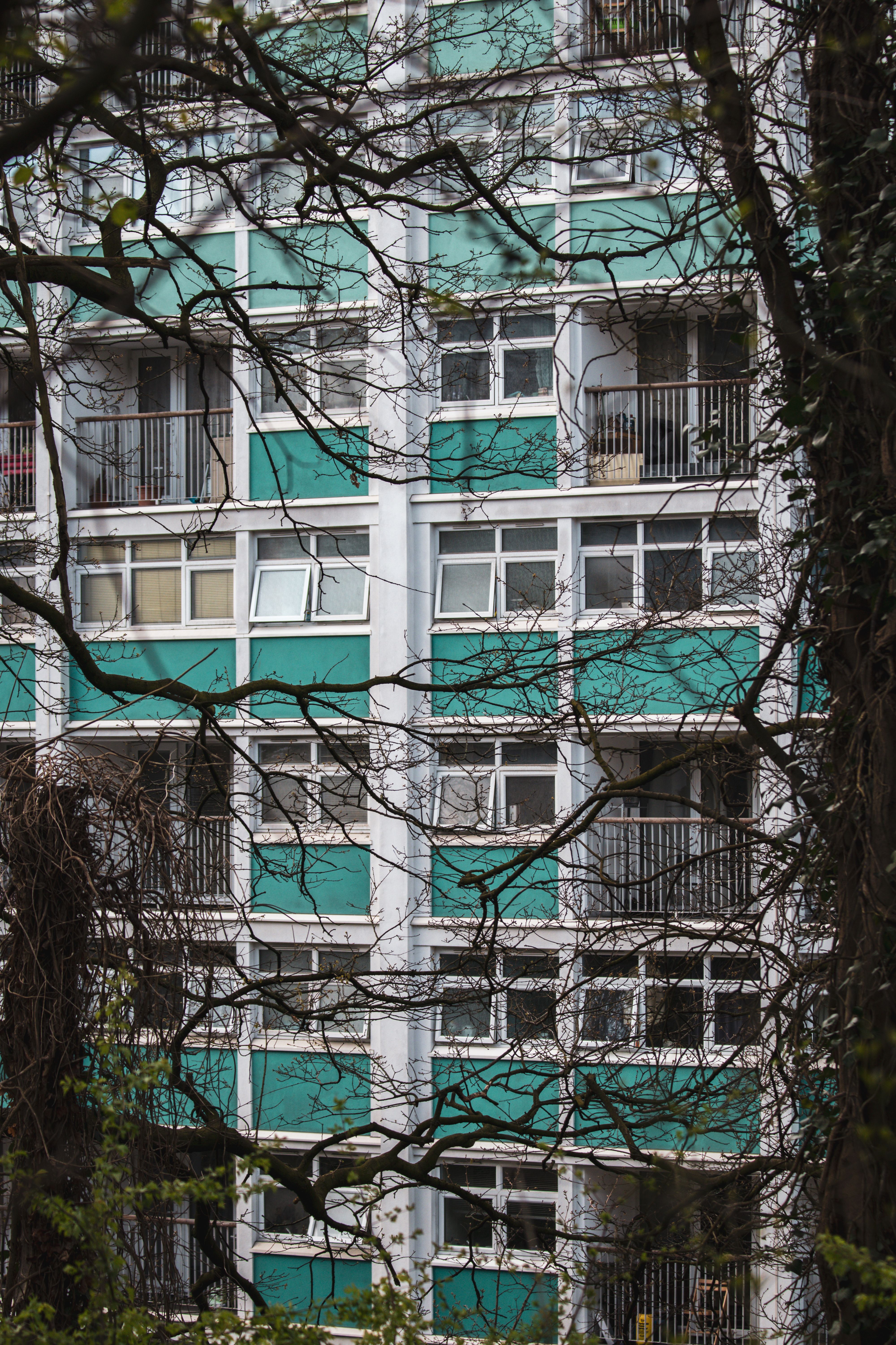 Tree Branches in front of a Modern Residential Building · Free Stock Photo