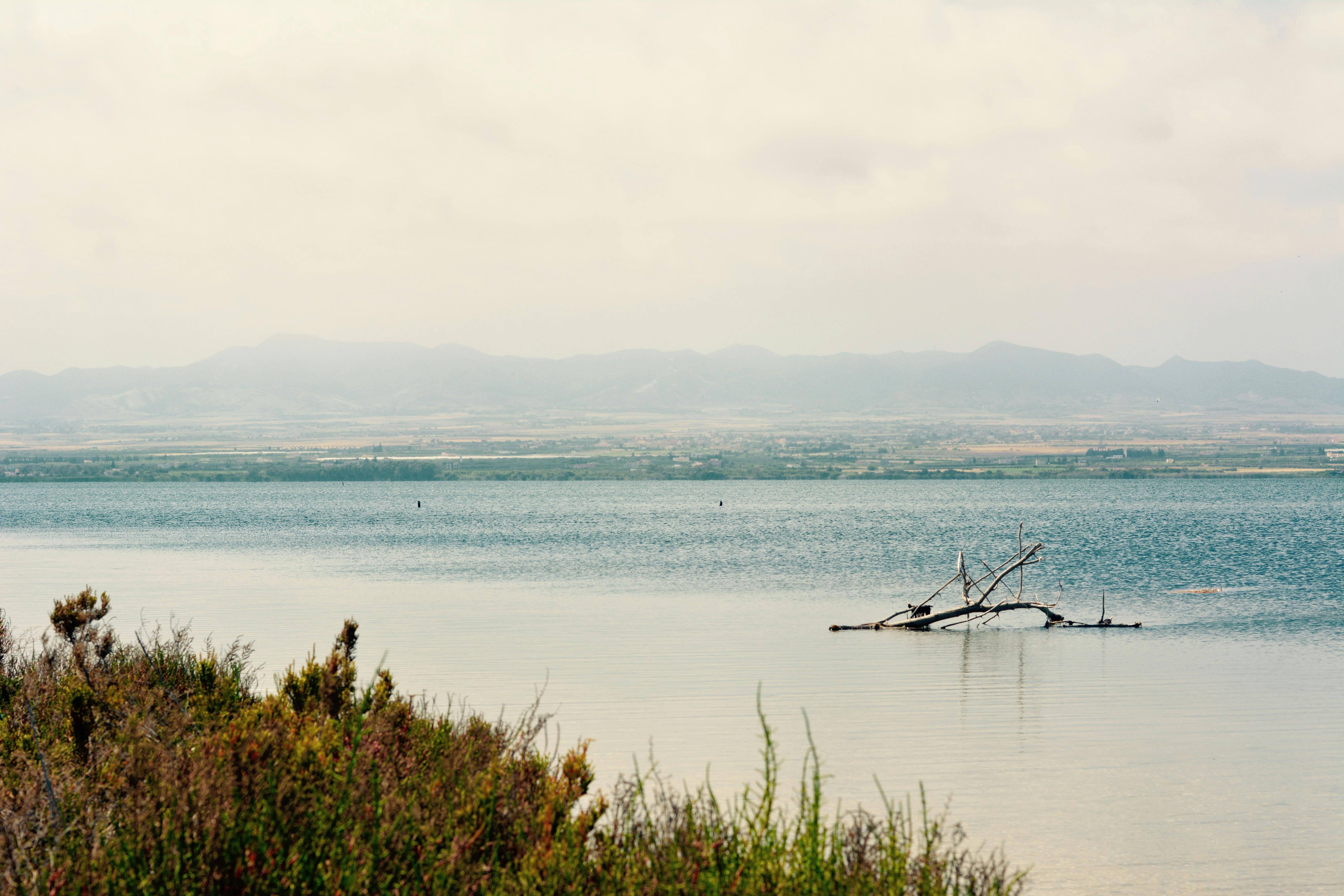 Photo of Lake During Daytime · Free Stock Photo