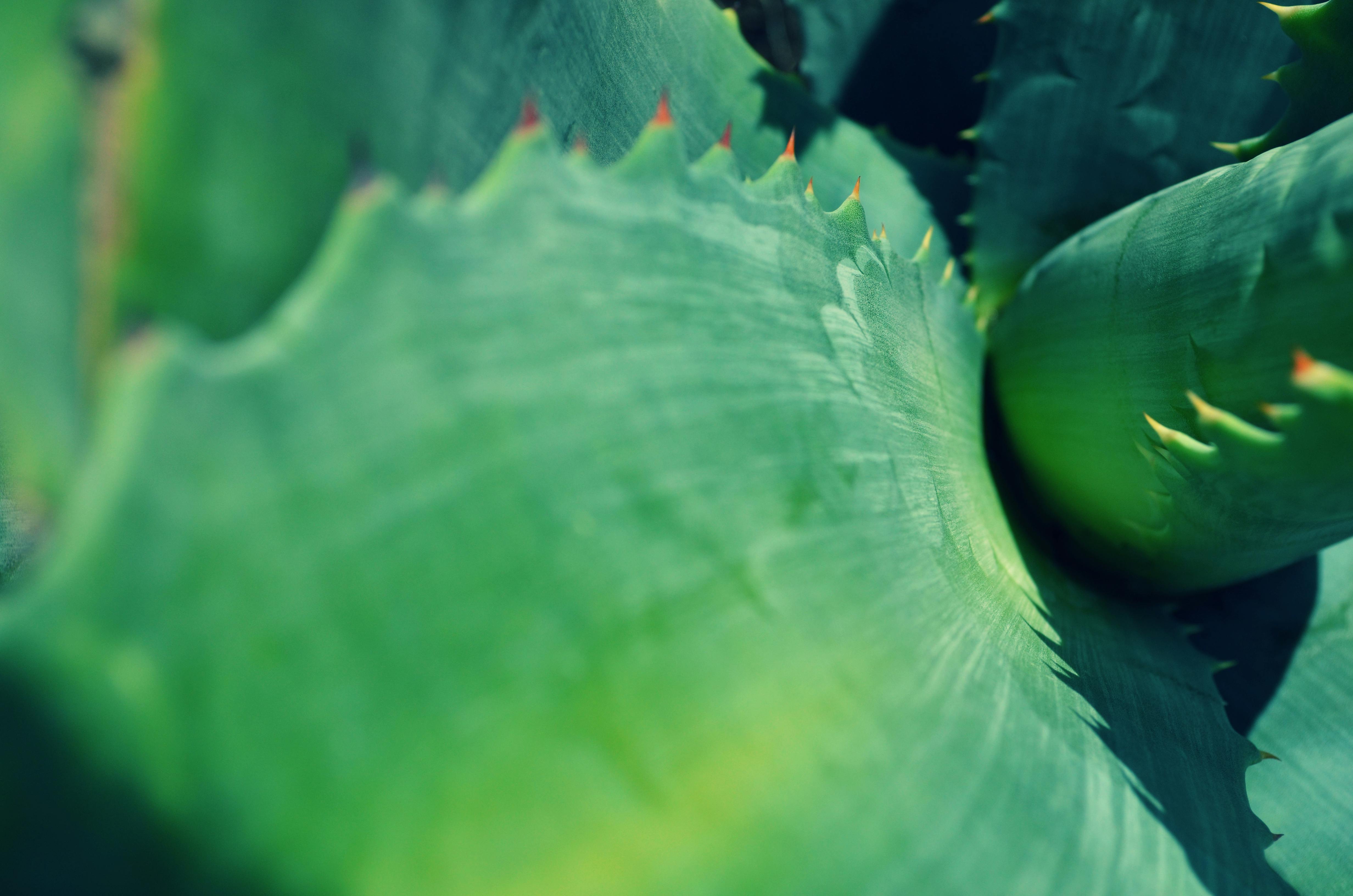 Boris Maric - Photographie