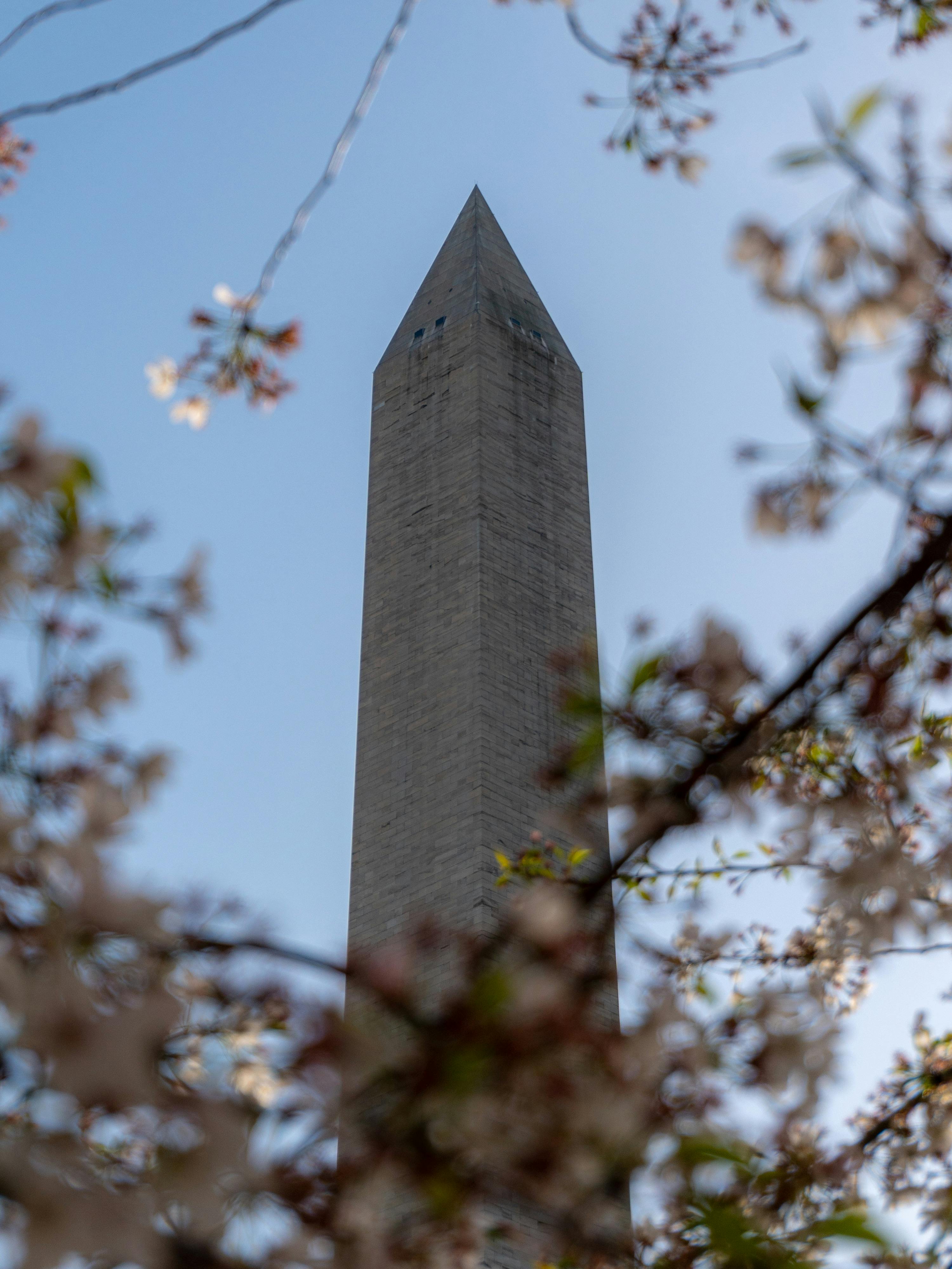 Washington Monument in Spring · Free Stock Photo
