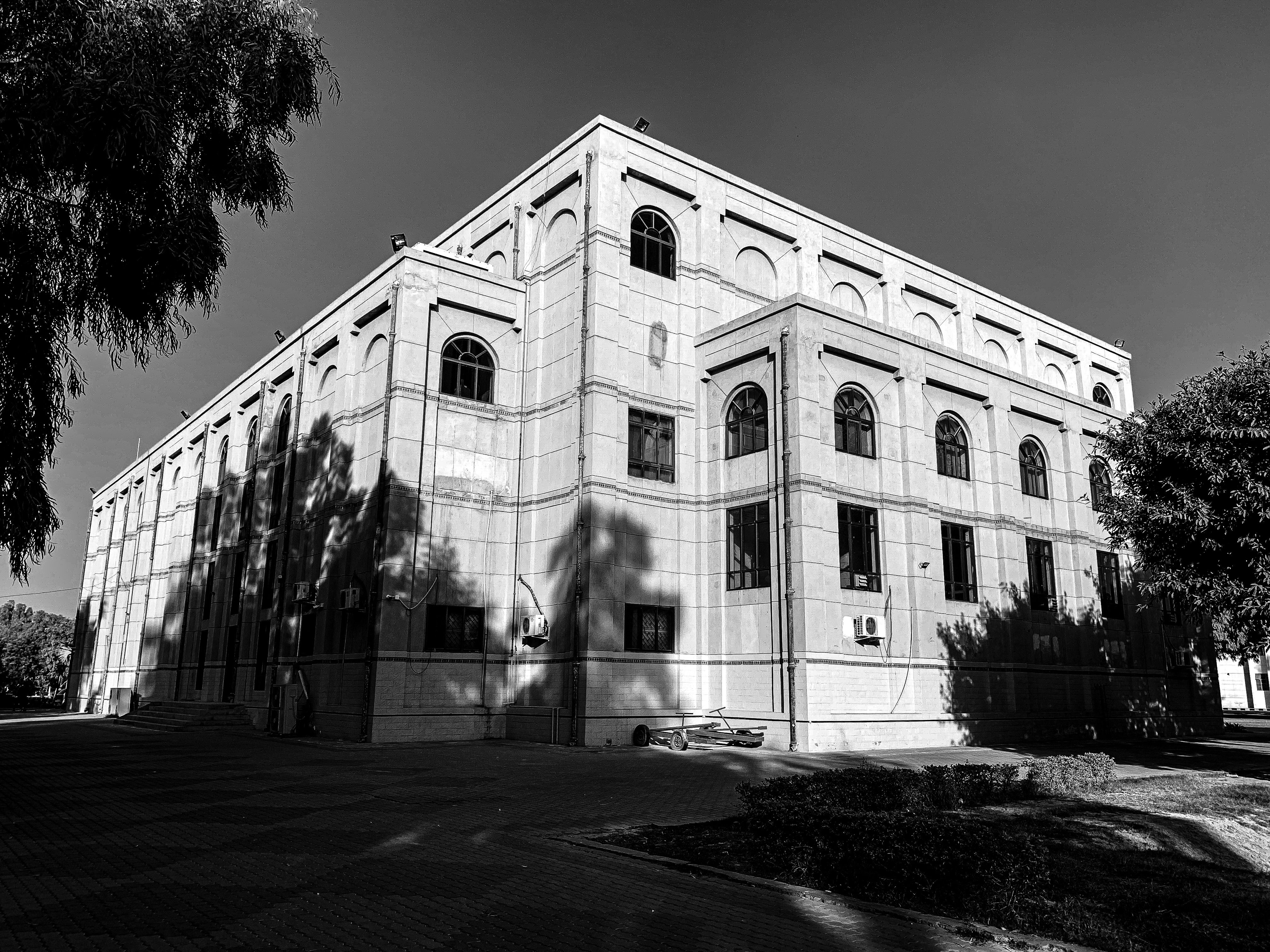 Trees Shadows on Building Facade · Free Stock Photo
