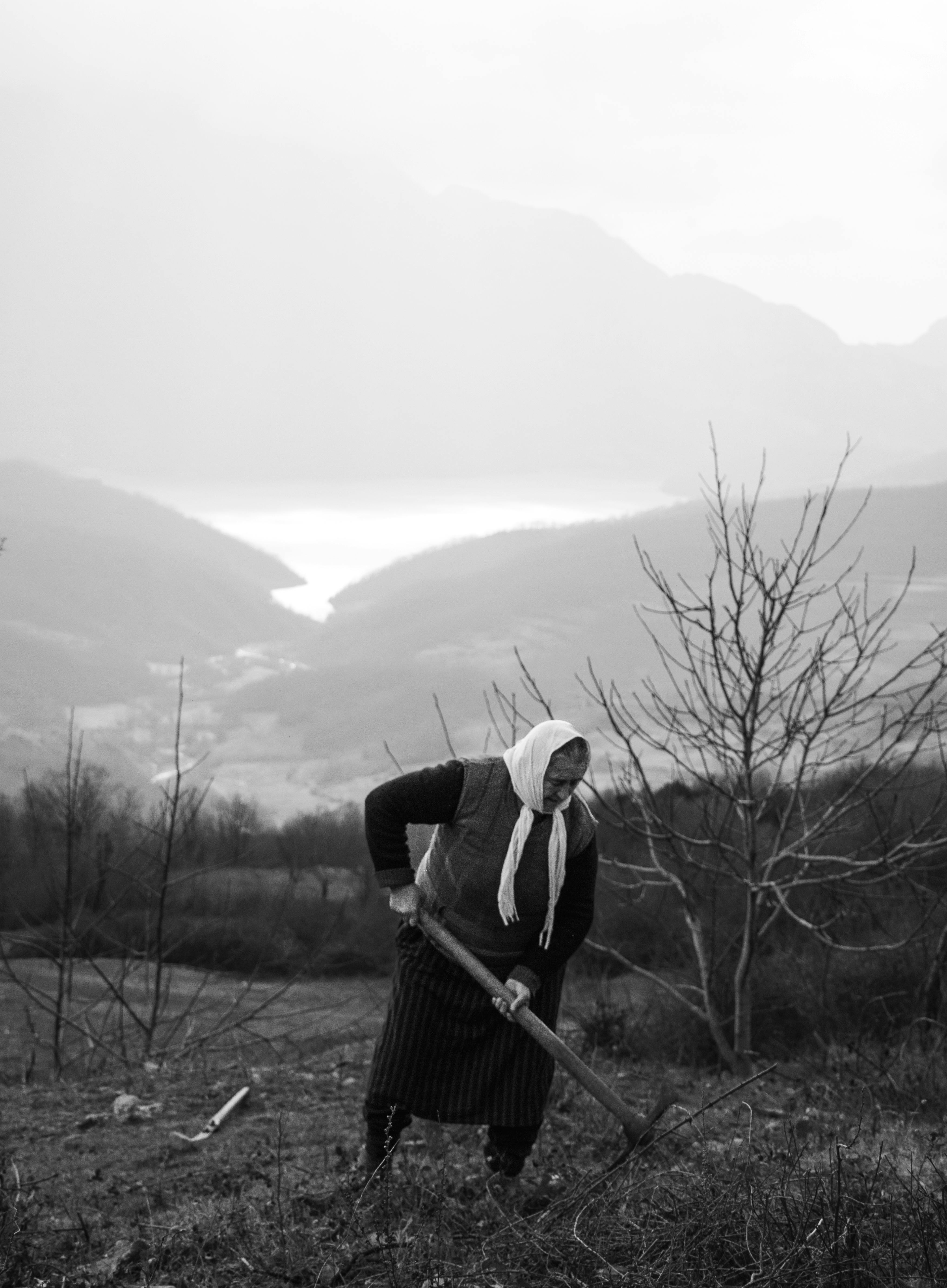 Elderly Woman Working in Countryside · Free Stock Photo
