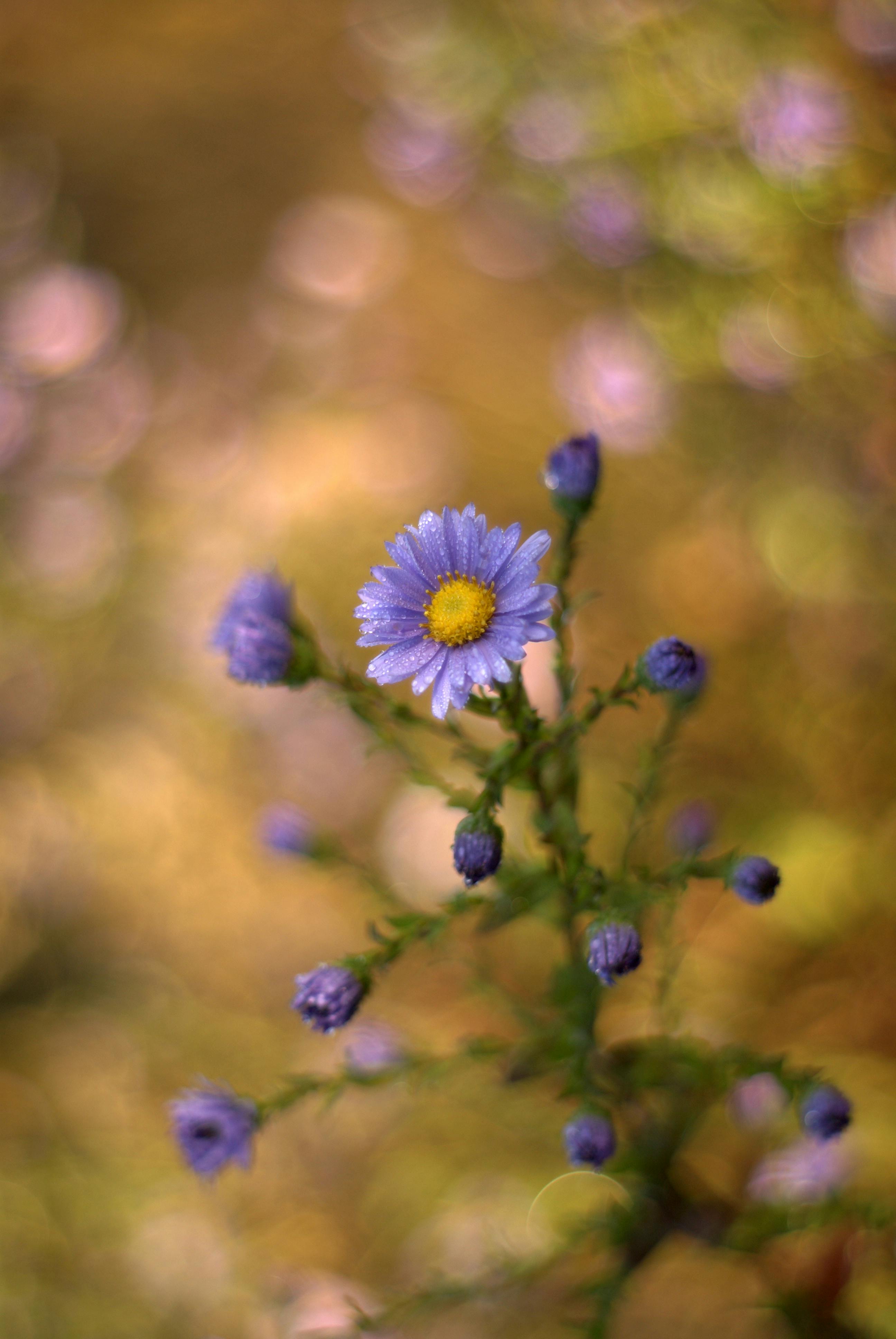 Rainbow Blue Sky Photos, Download The BEST Free Rainbow Blue Sky Stock ...