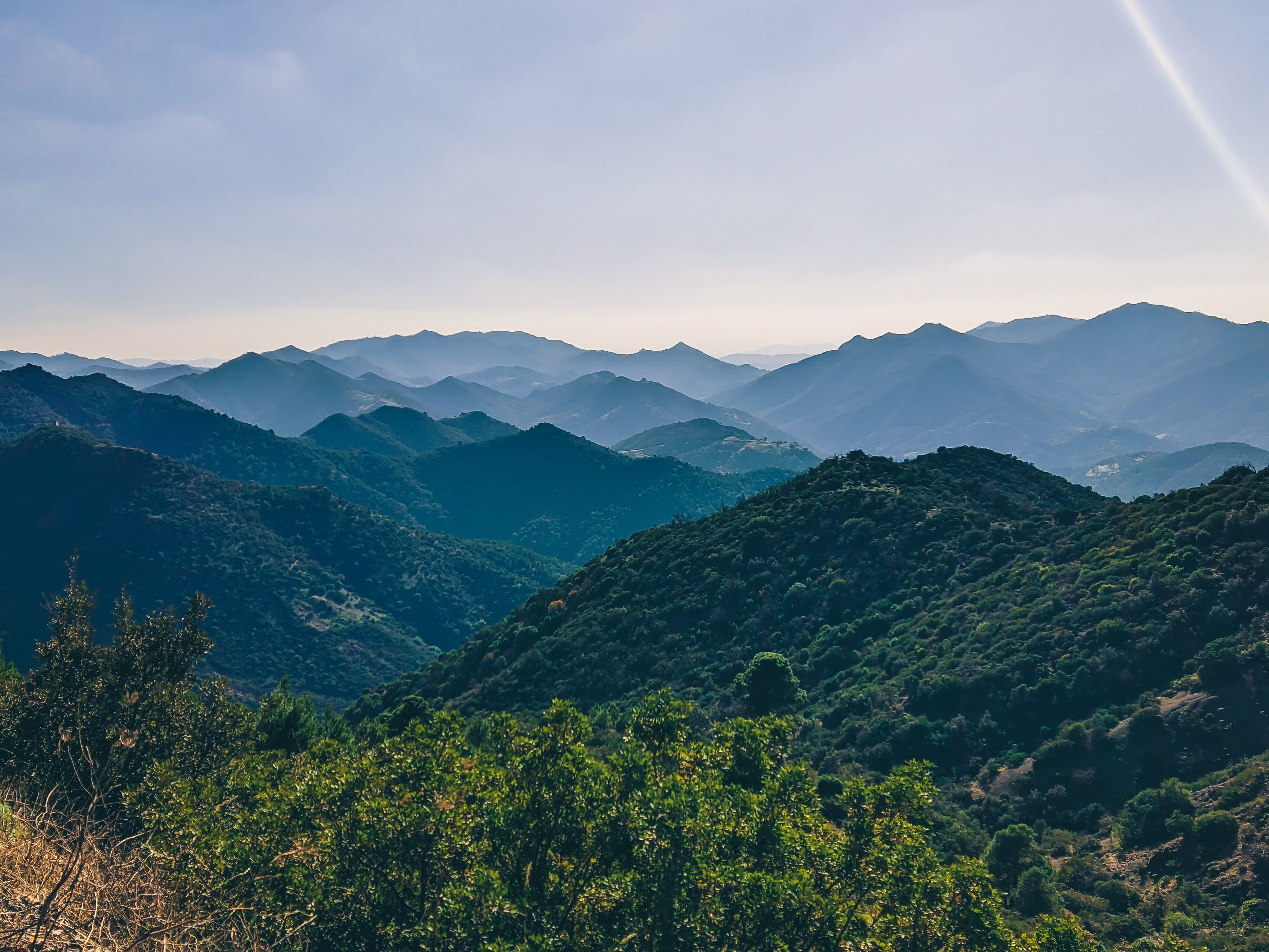 Wandering Photos, Download The BEST Free Wandering Stock Photos & HD Images