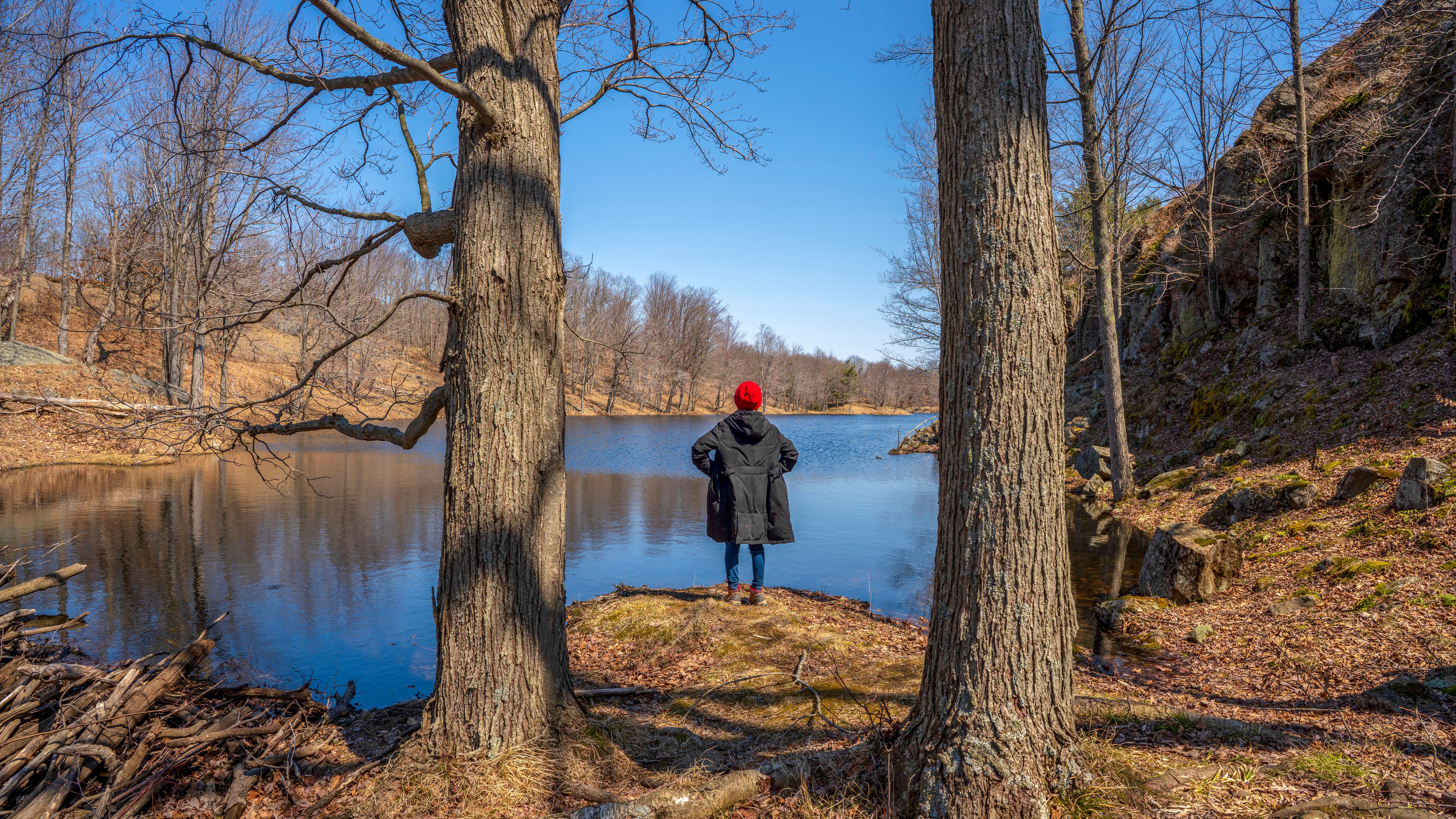 Person in Jacket Standing behind Trees on Lakeshore · Free Stock Photo