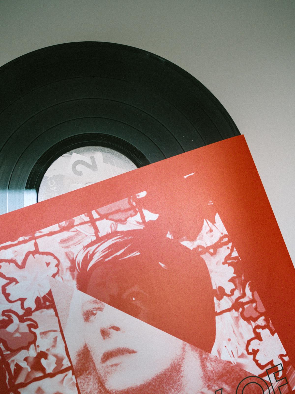 Vinyl Images Photos, Download The BEST Free Vinyl Images Stock Photos ...