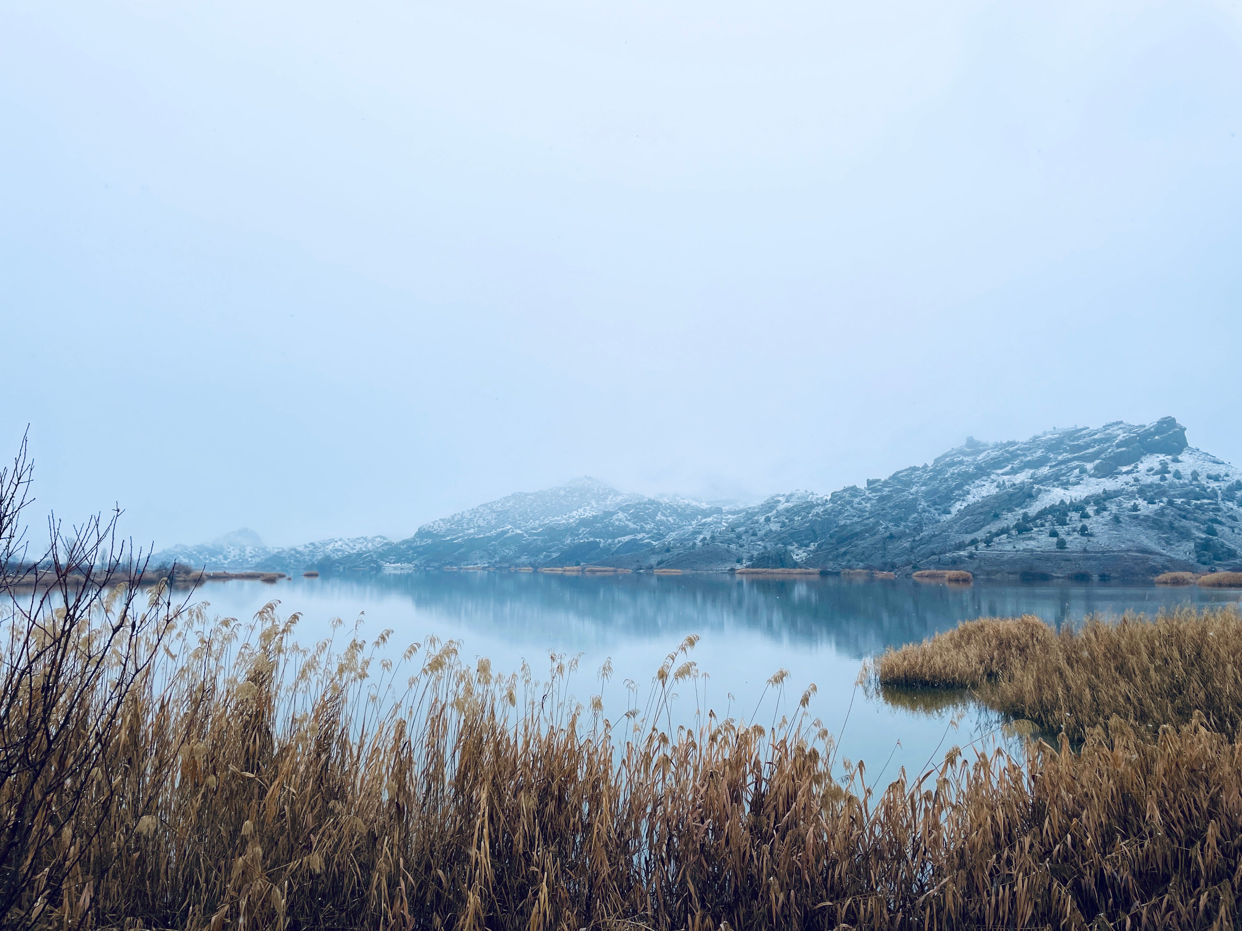 Lake at the Foot of the Mountain Range · Free Stock Photo