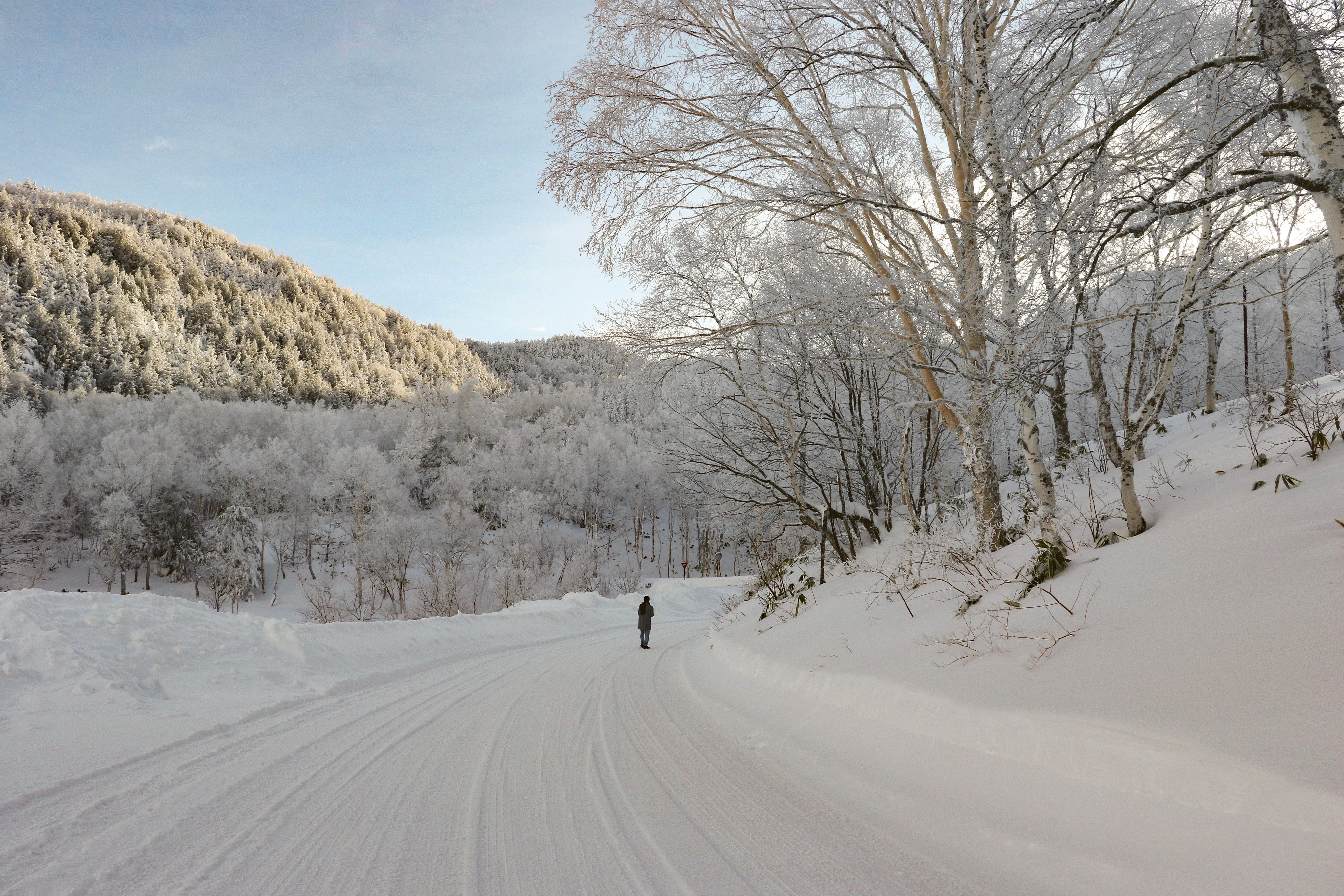 Winter landscape with snowy road and trees · Free Stock Photo