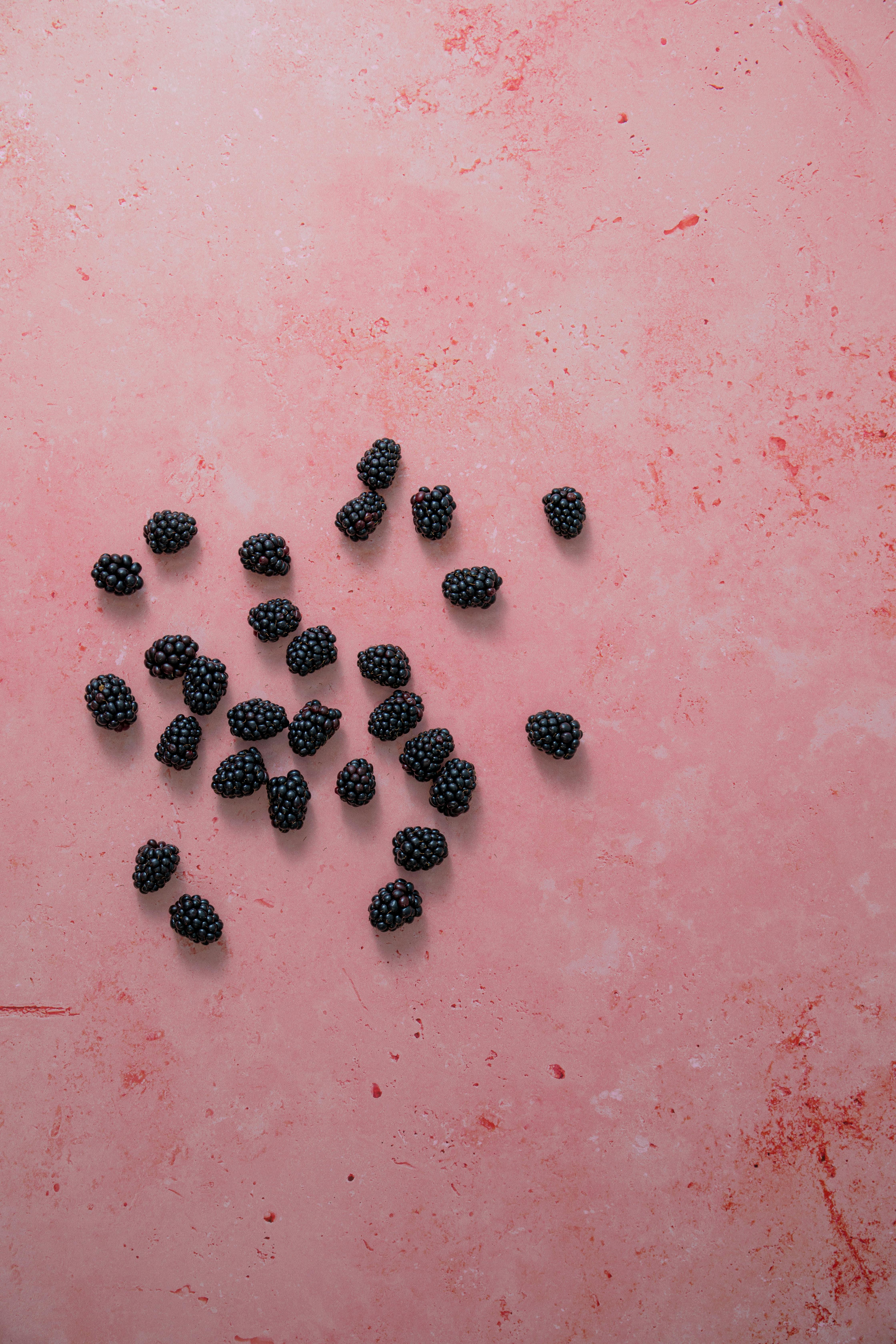 Foto Food Photos, Download The BEST Free Foto Food Stock Photos & HD Images