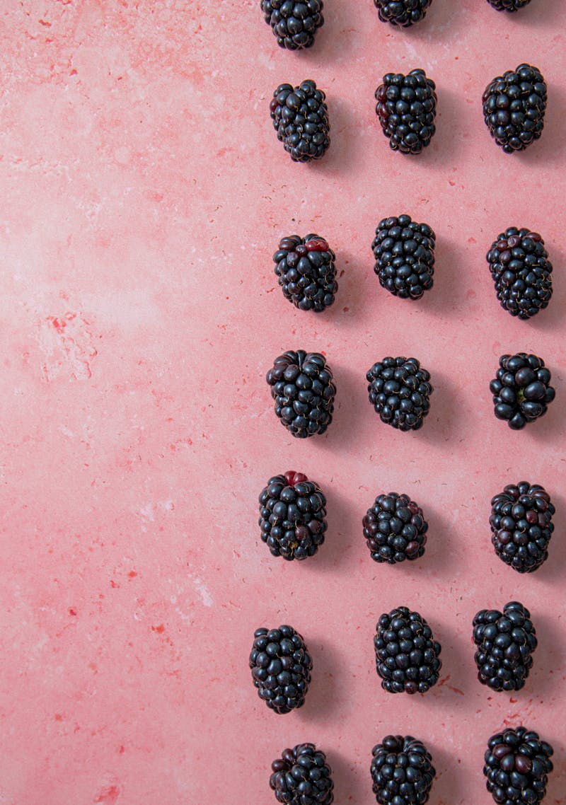Blackberries Photos, Download The BEST Free Blackberries Stock Photos ...