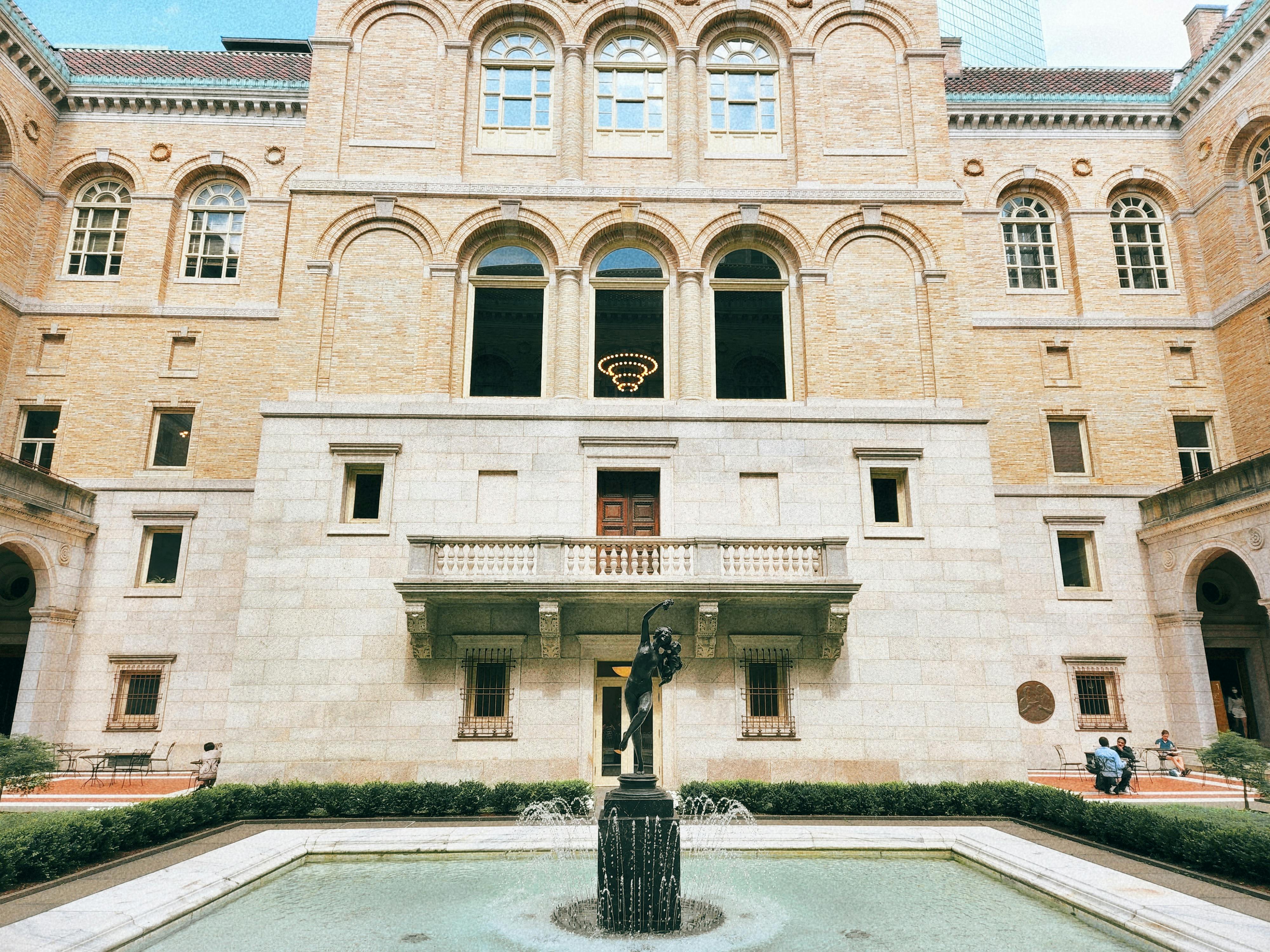 Daily Daisy - Fotografía